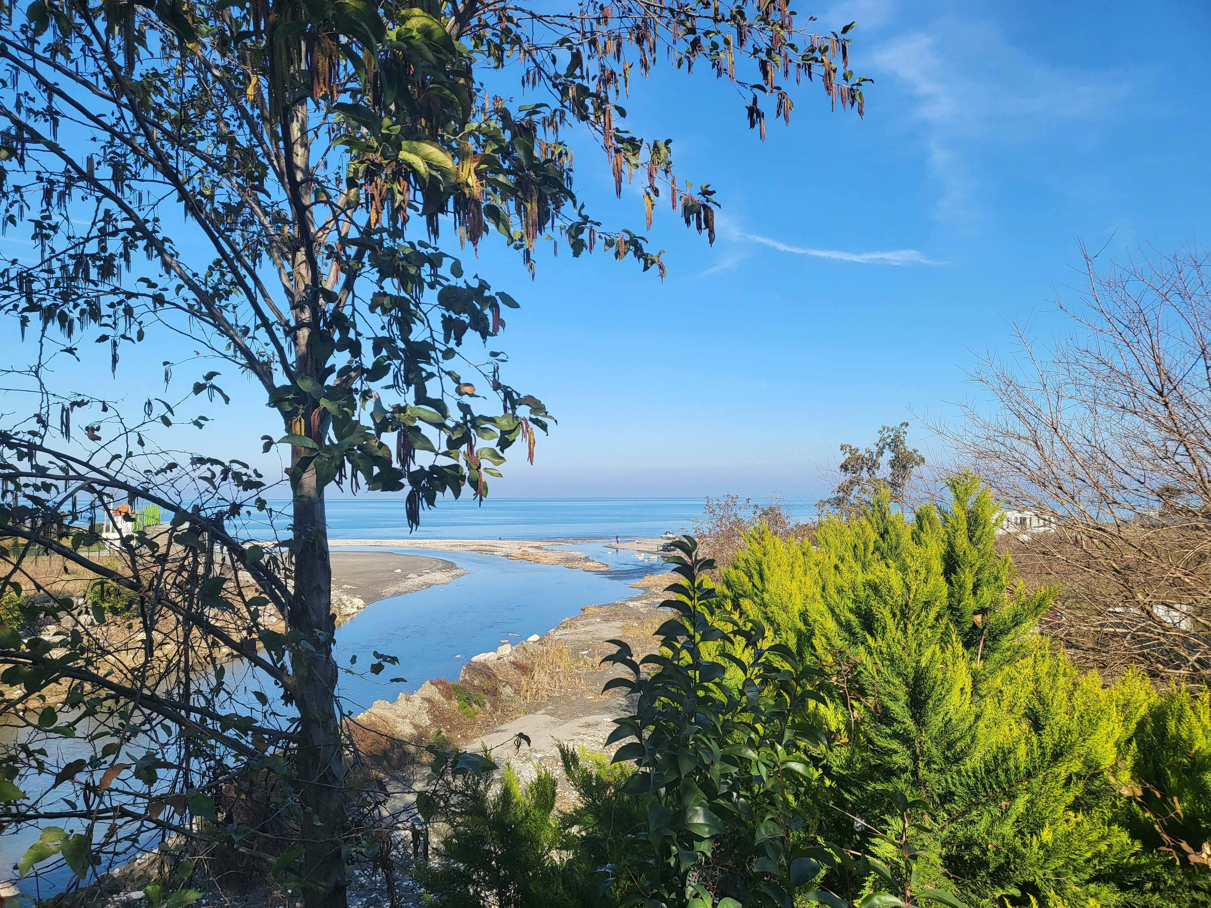 A tranquil coastal scene featuring a river winding through a rocky landscape, framed by lush greenery and trees. The clear blue sky enhances the peaceful atmosphere.