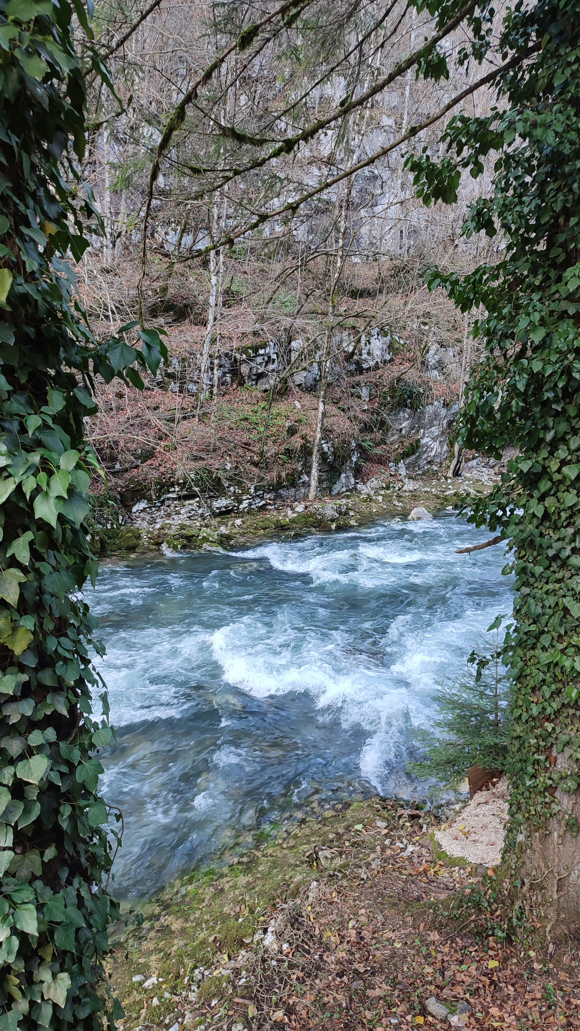 Clear river waters flowing through a serene landscape framed by lush greenery and rocky cliffs.