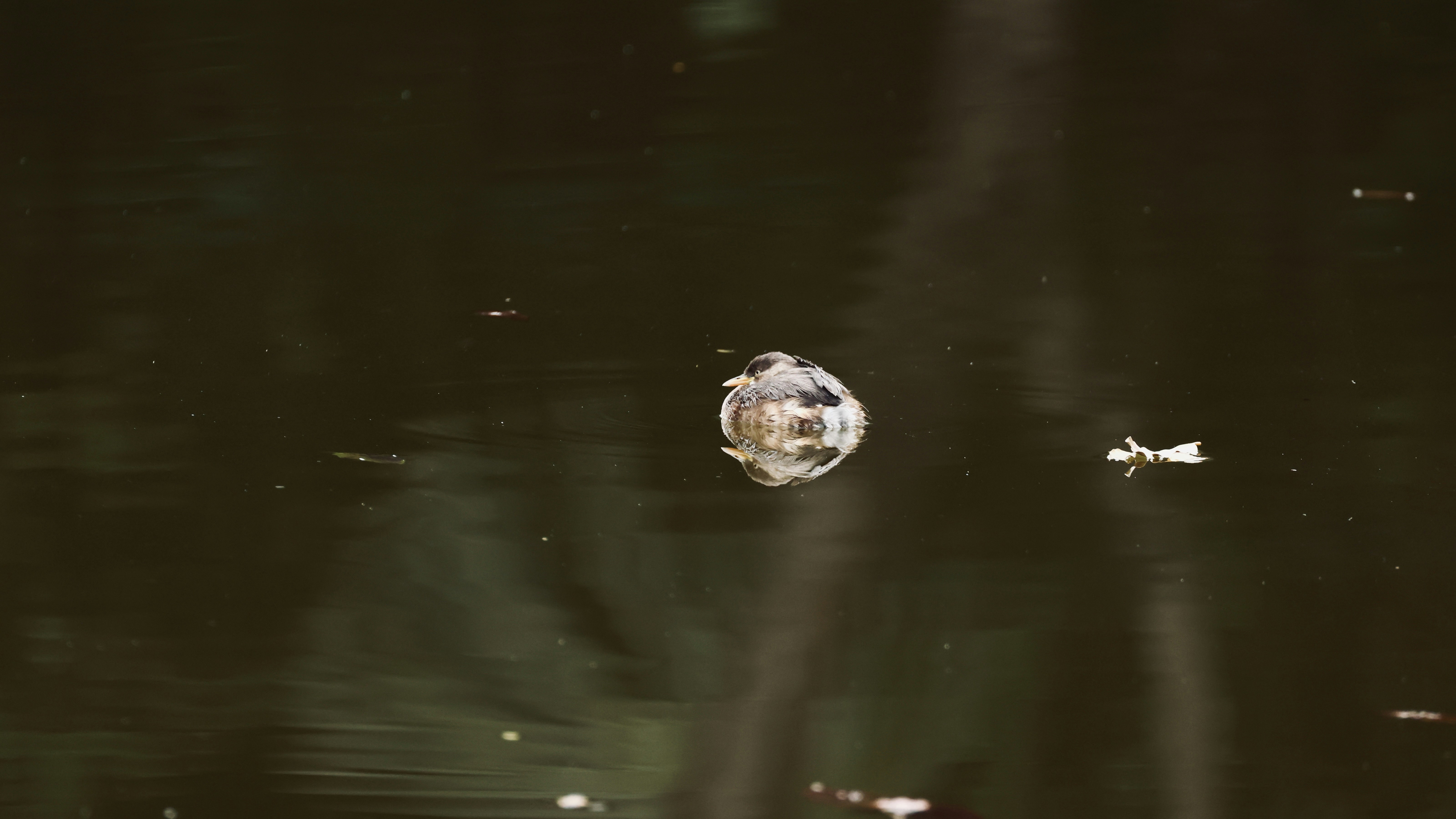 Photo by DL314 Lin with Canon EOS R5