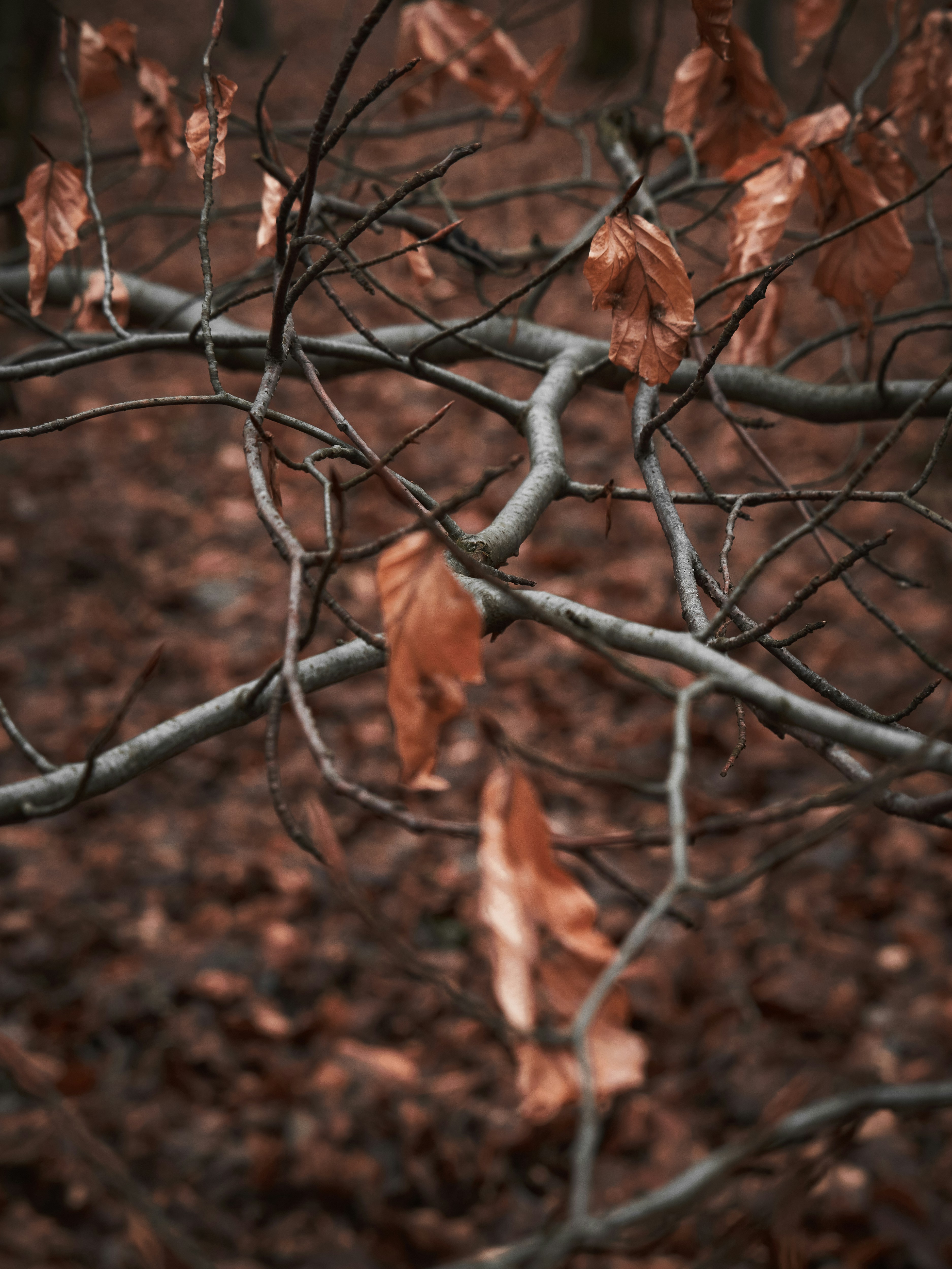 Photo by JKalina with Fujifilm X-A5