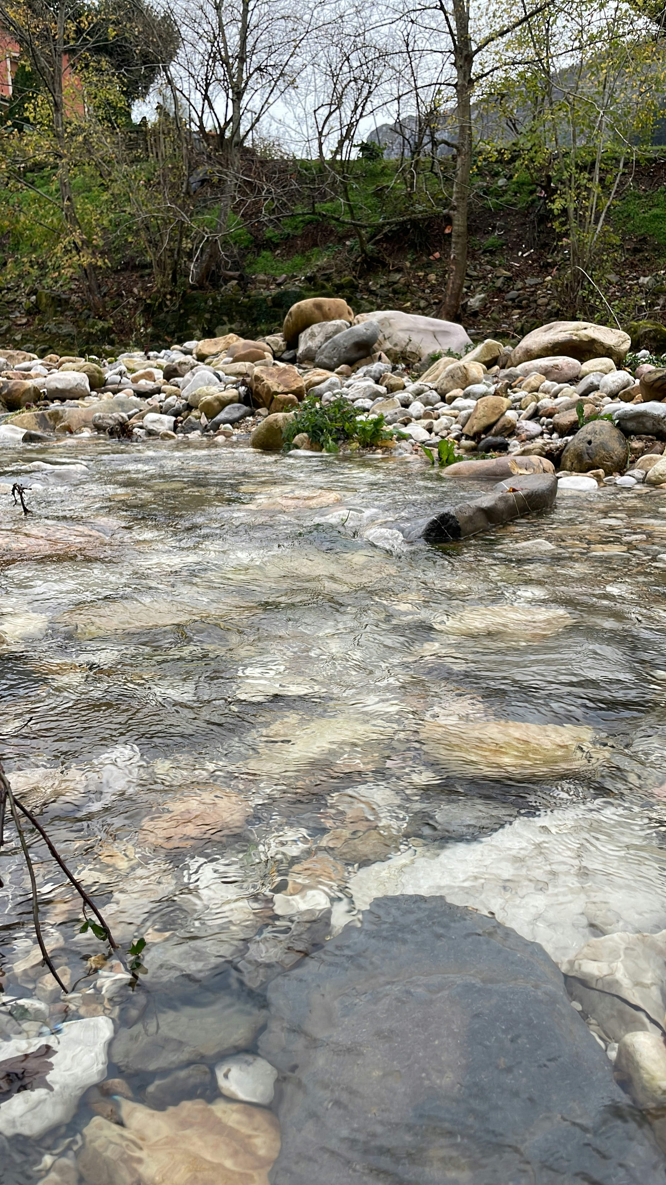 Rivulet Crossing: A Quiet Riverbed strewn with Smooth Stones