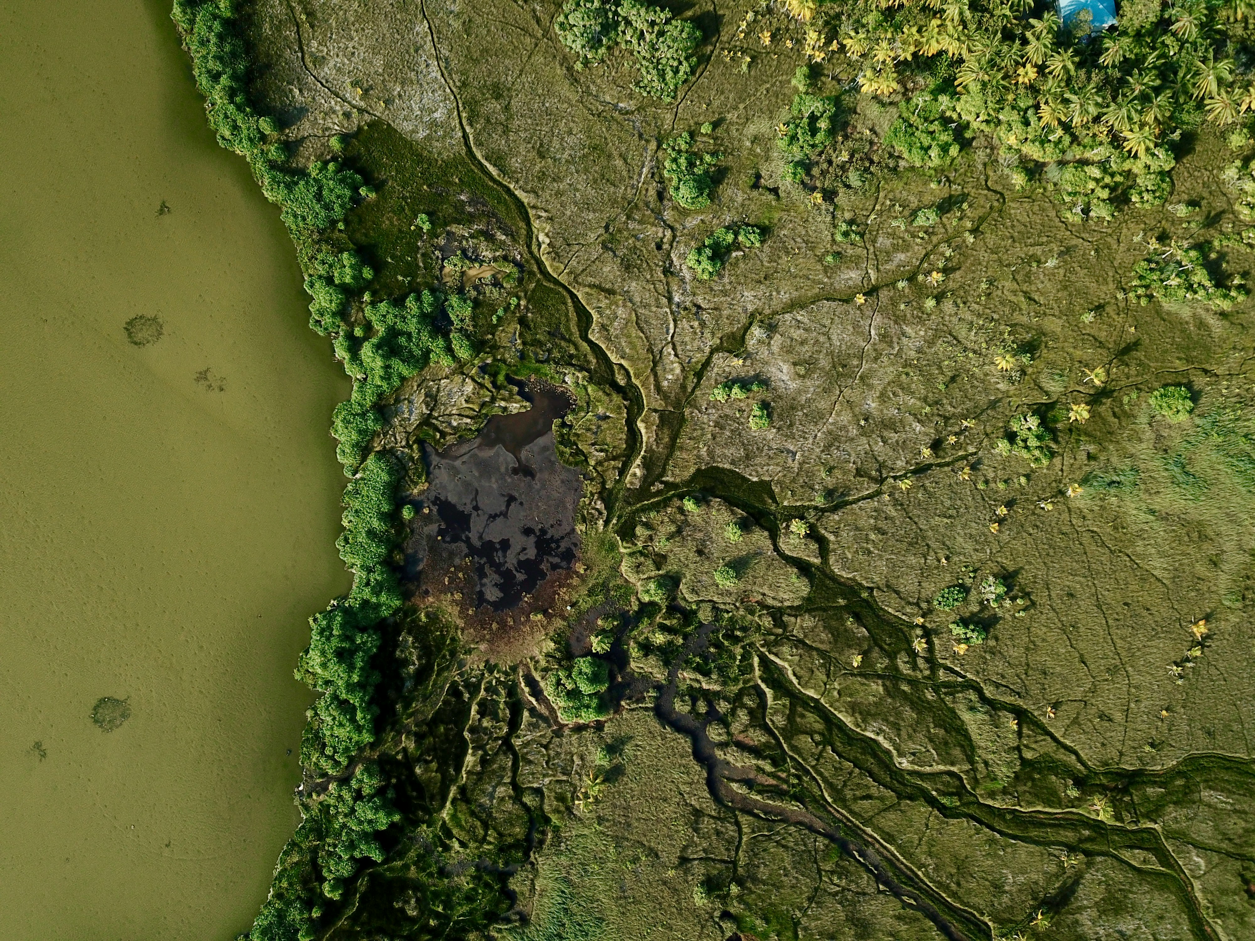 Overhead shot of Fuvahmulah Nature Park, a part of the UNESCO-designated Fuvahmulah Biosphere Reserve.