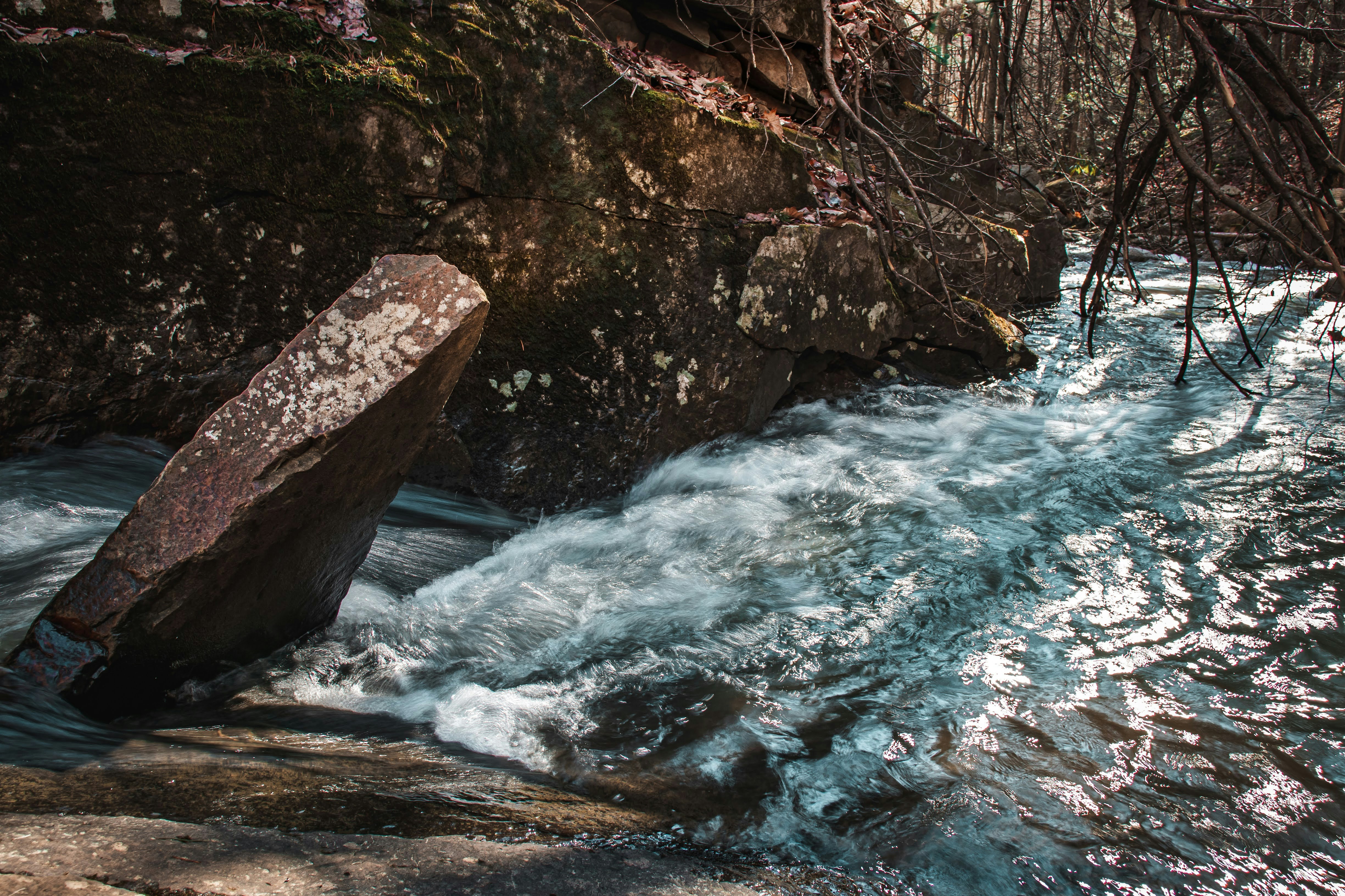 Une rivière qui traverse une forêt à côté d’un gros rocher photo ...