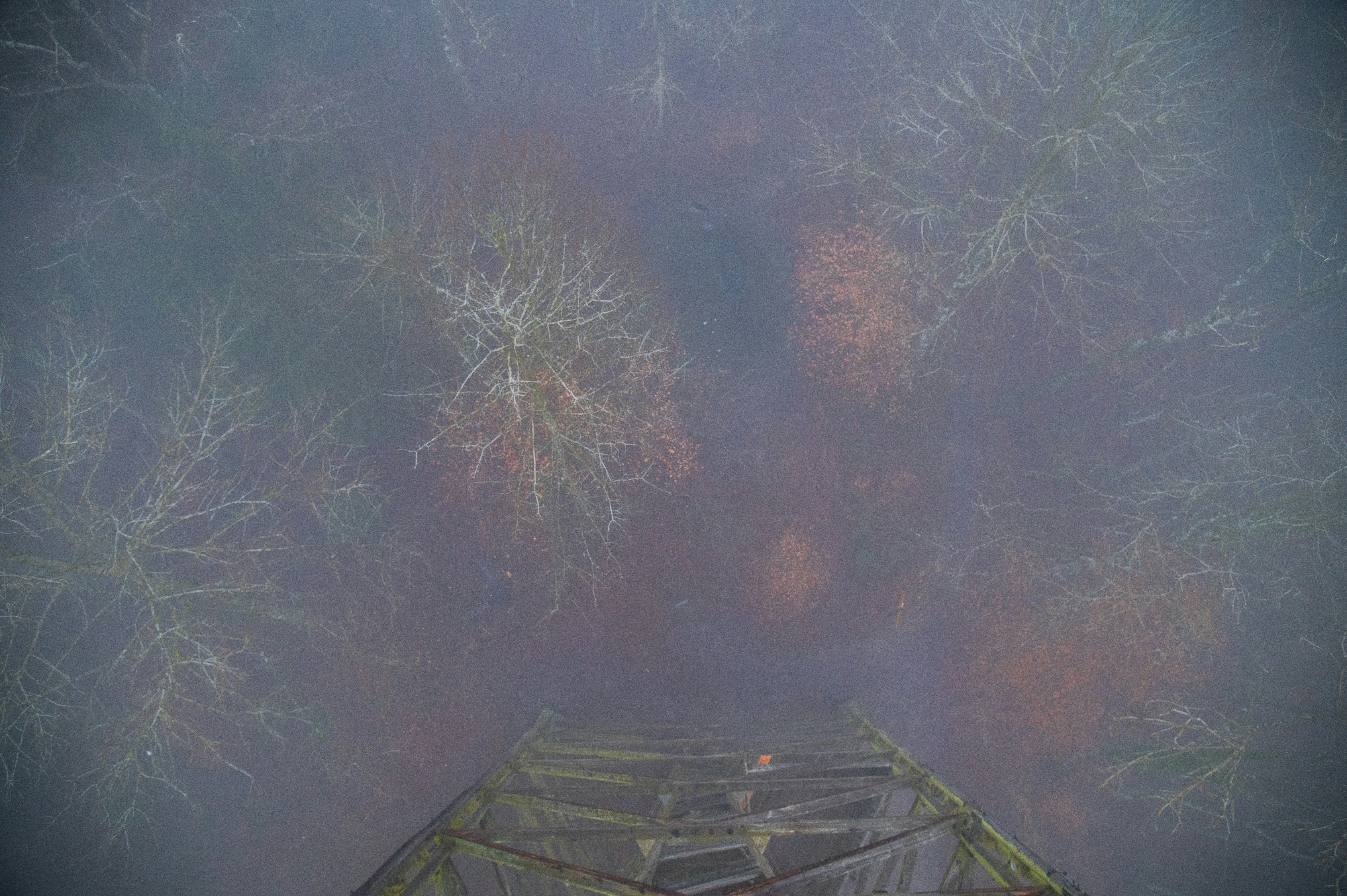 Daniel Bieri (@daniel_bieri) | Comunidade de fotos da Unsplash