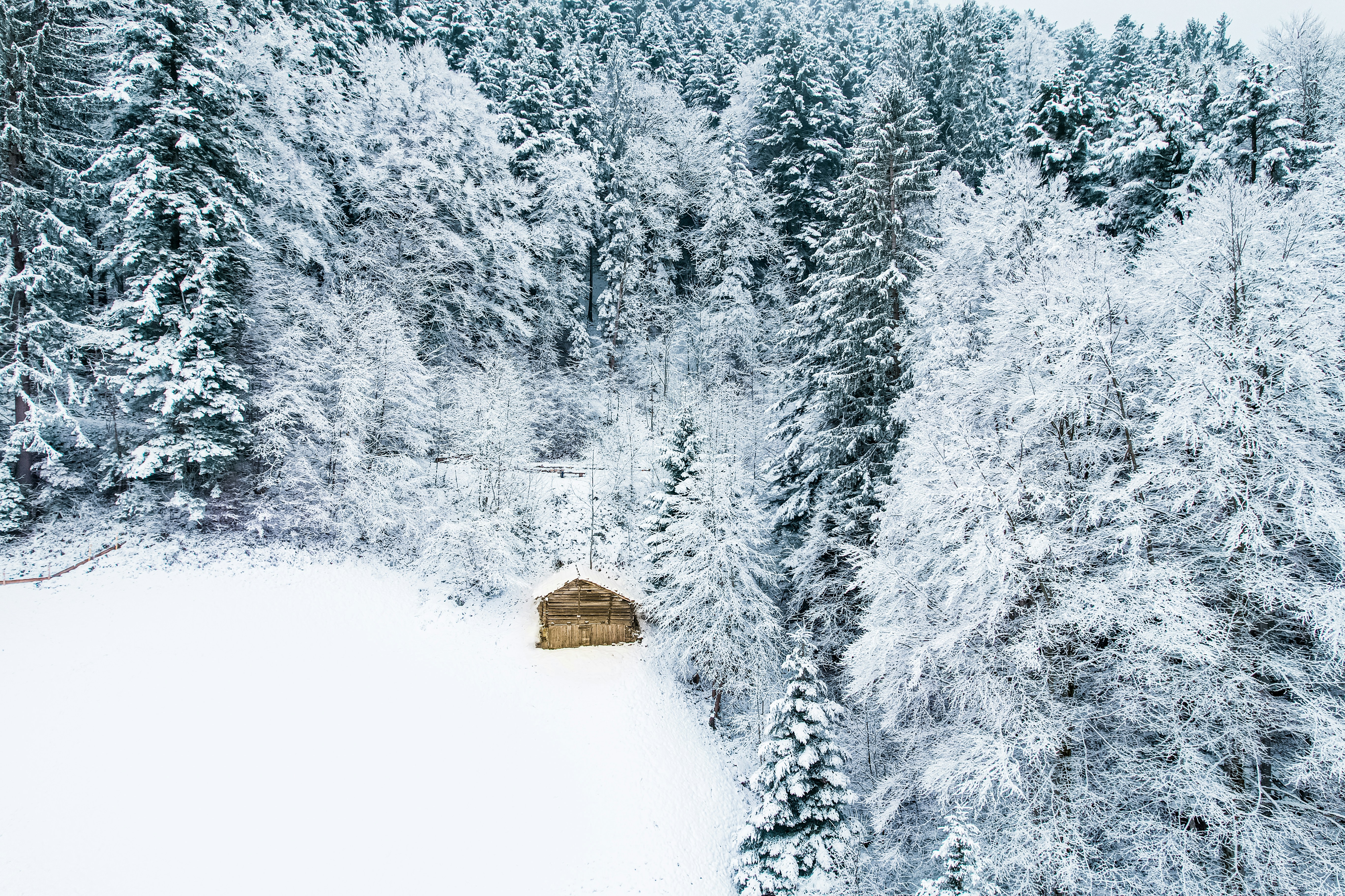 Una cabaña en medio de un bosque nevado foto – Imagen de Tierra ...