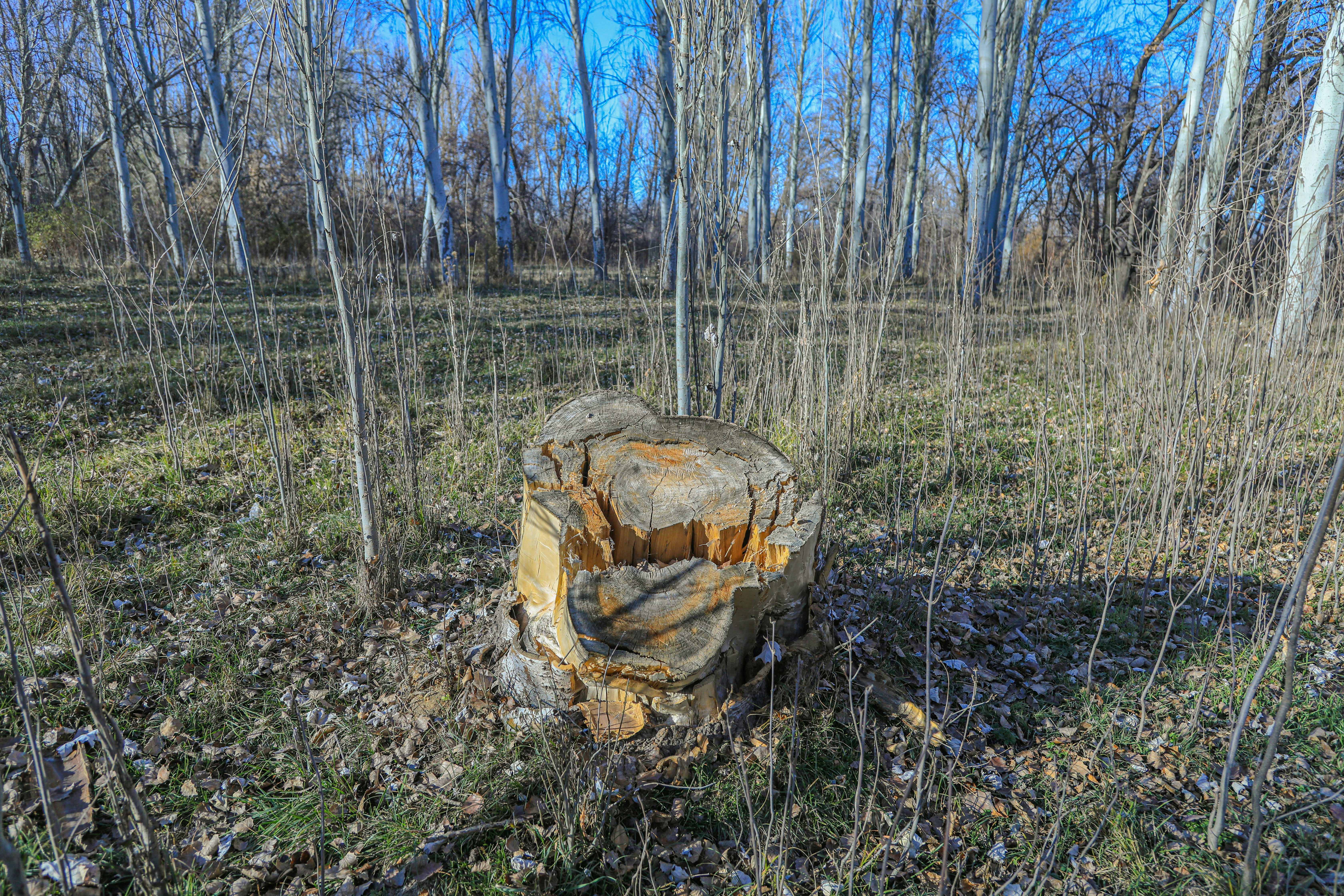 Photo by Collab Media with Canon EOS 5D Mark IV