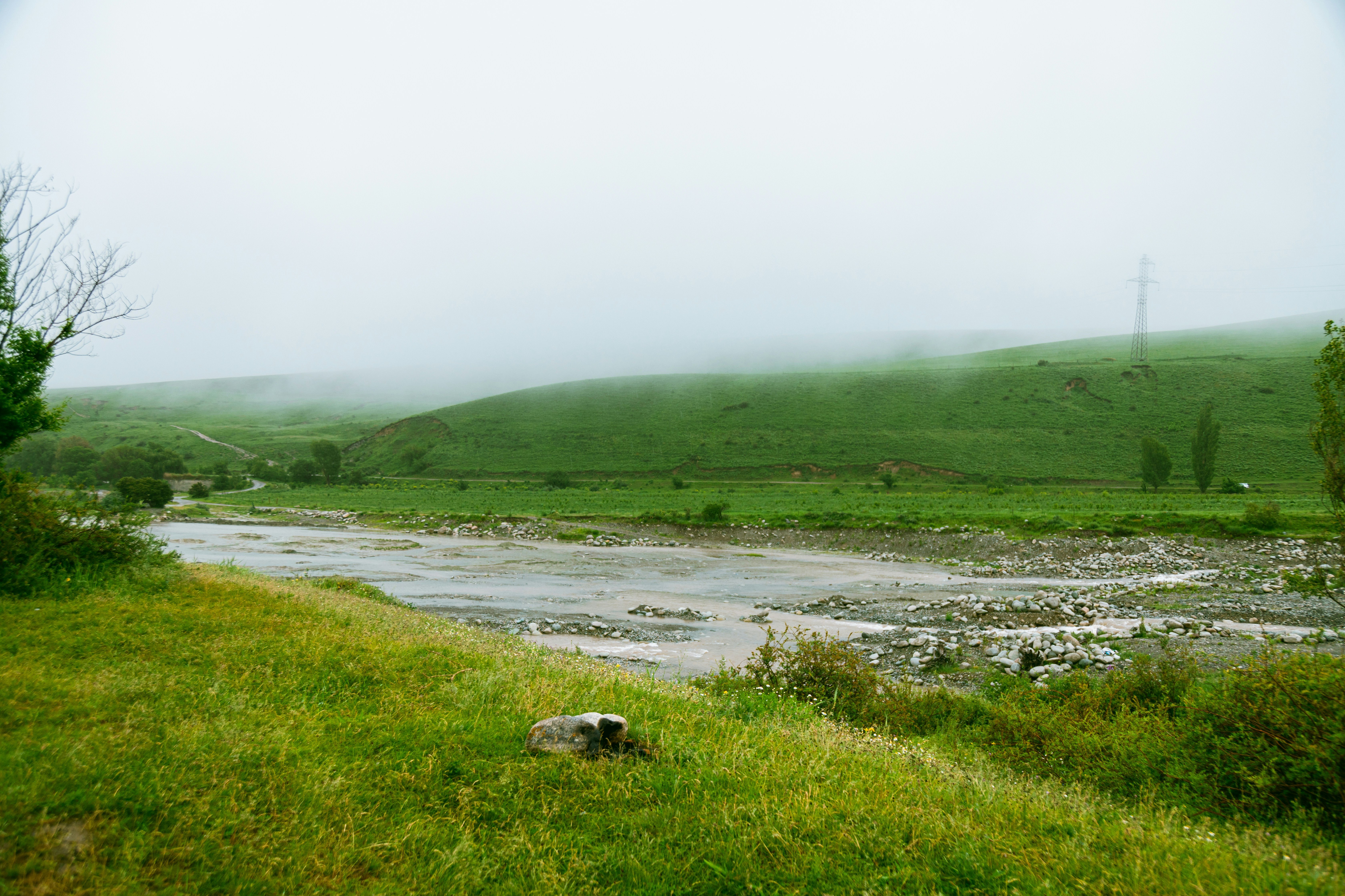 Mist Over Pebble Riverbend in a Green Valley