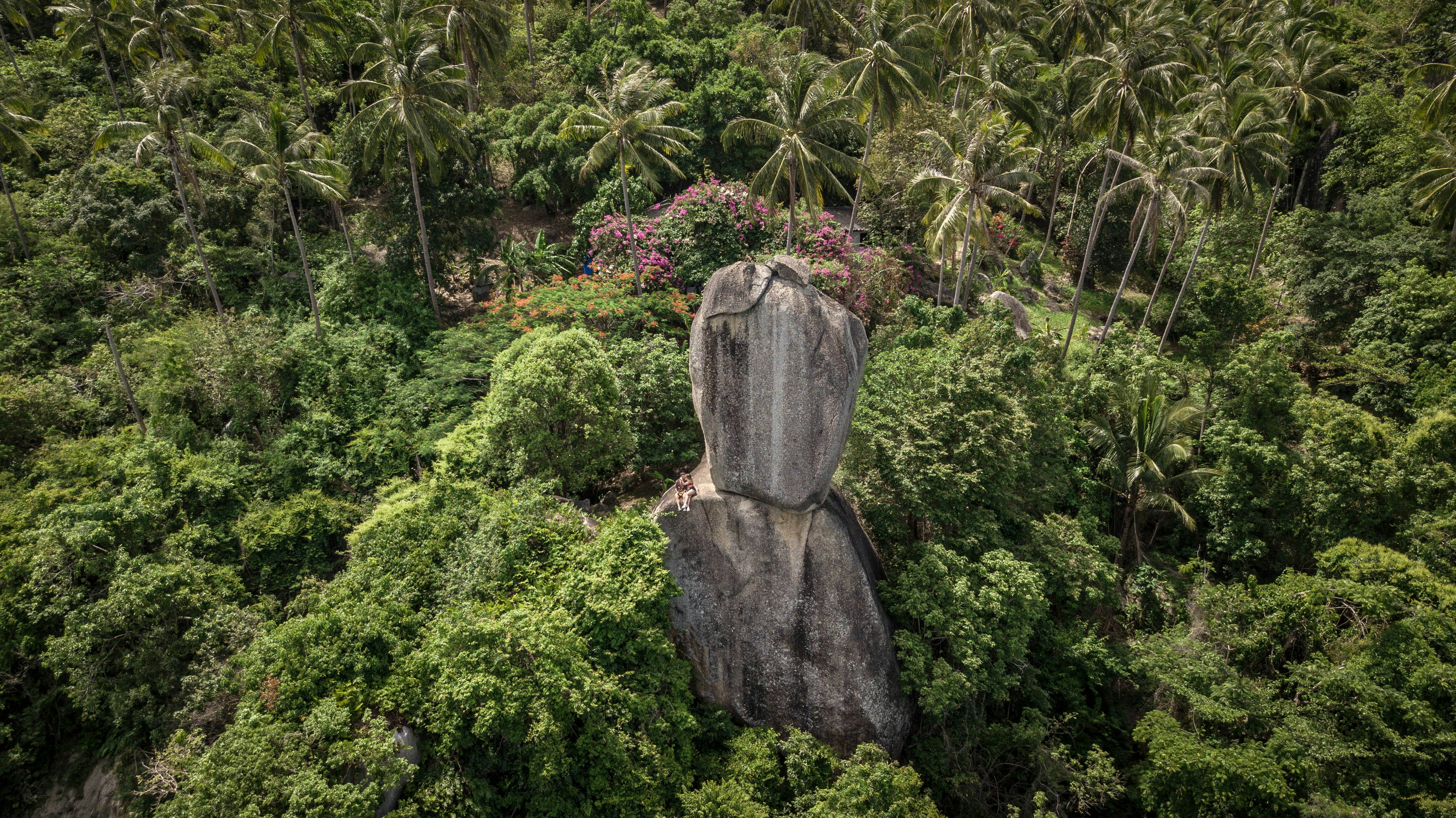 Large rock formation surrounded by lush green forest.
