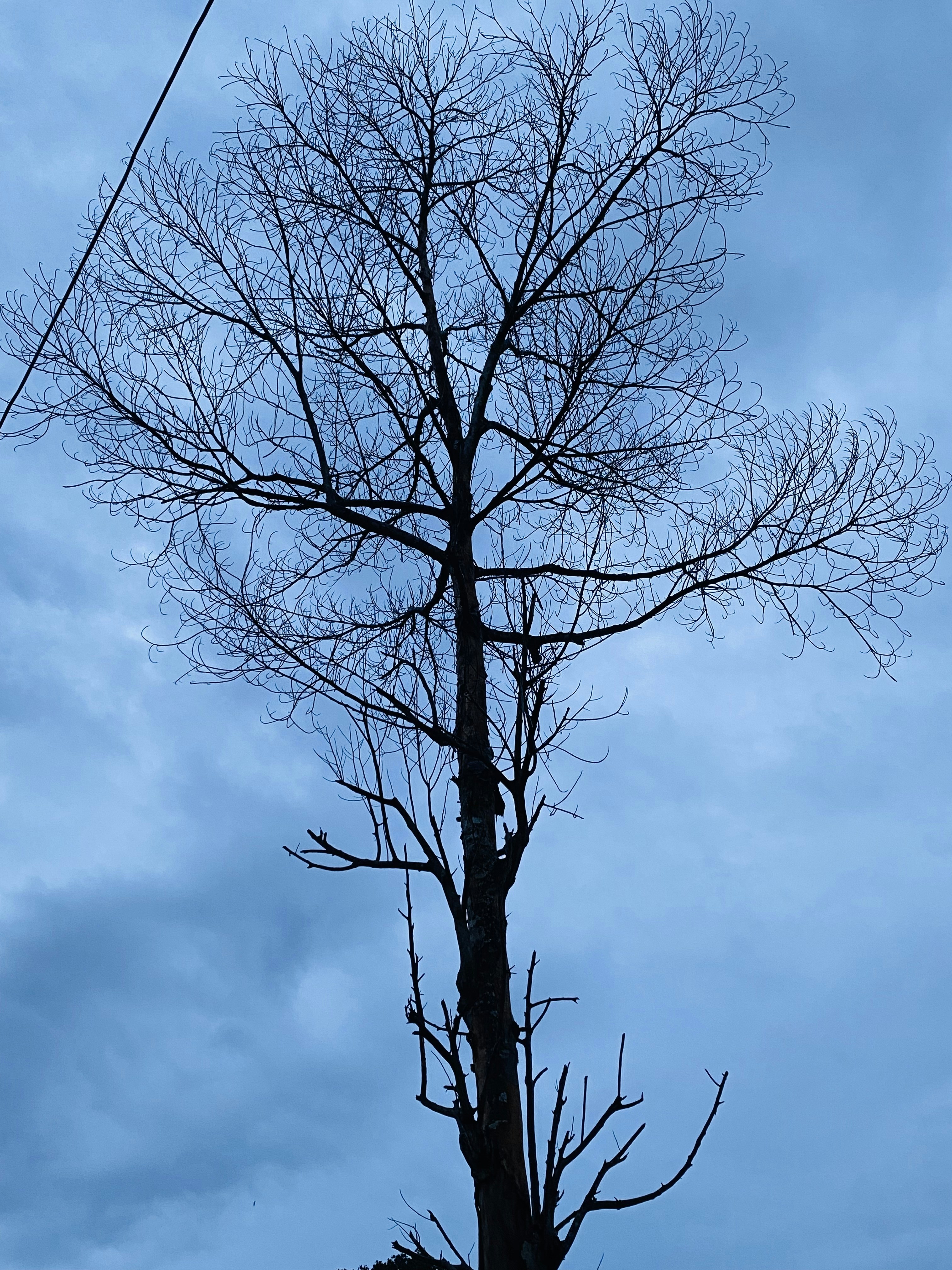 Oshani Ayeshika (@oshi97) | Komunitas Foto Unsplash