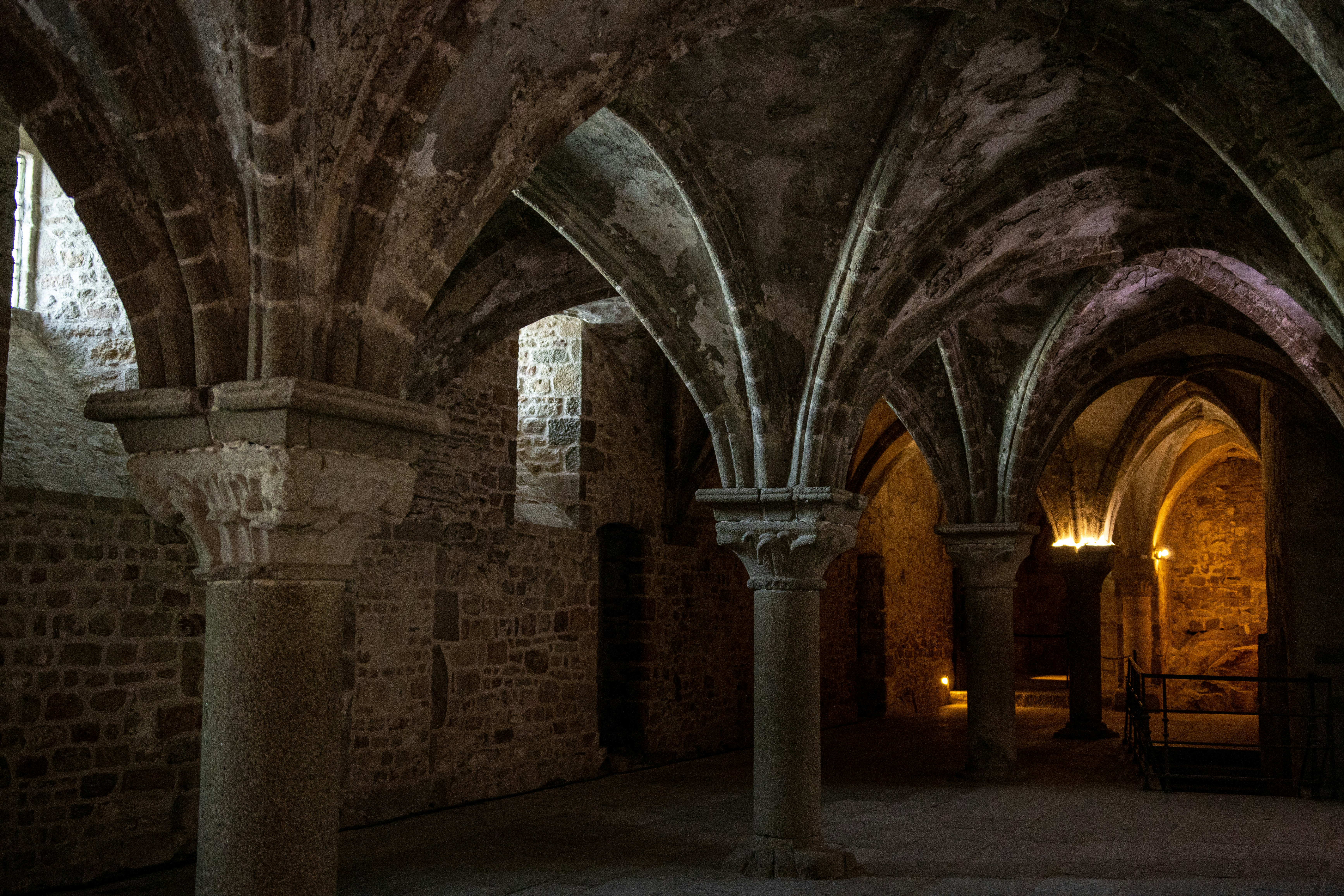 Photo by Alexandra Zelena with Canon EOS 90D