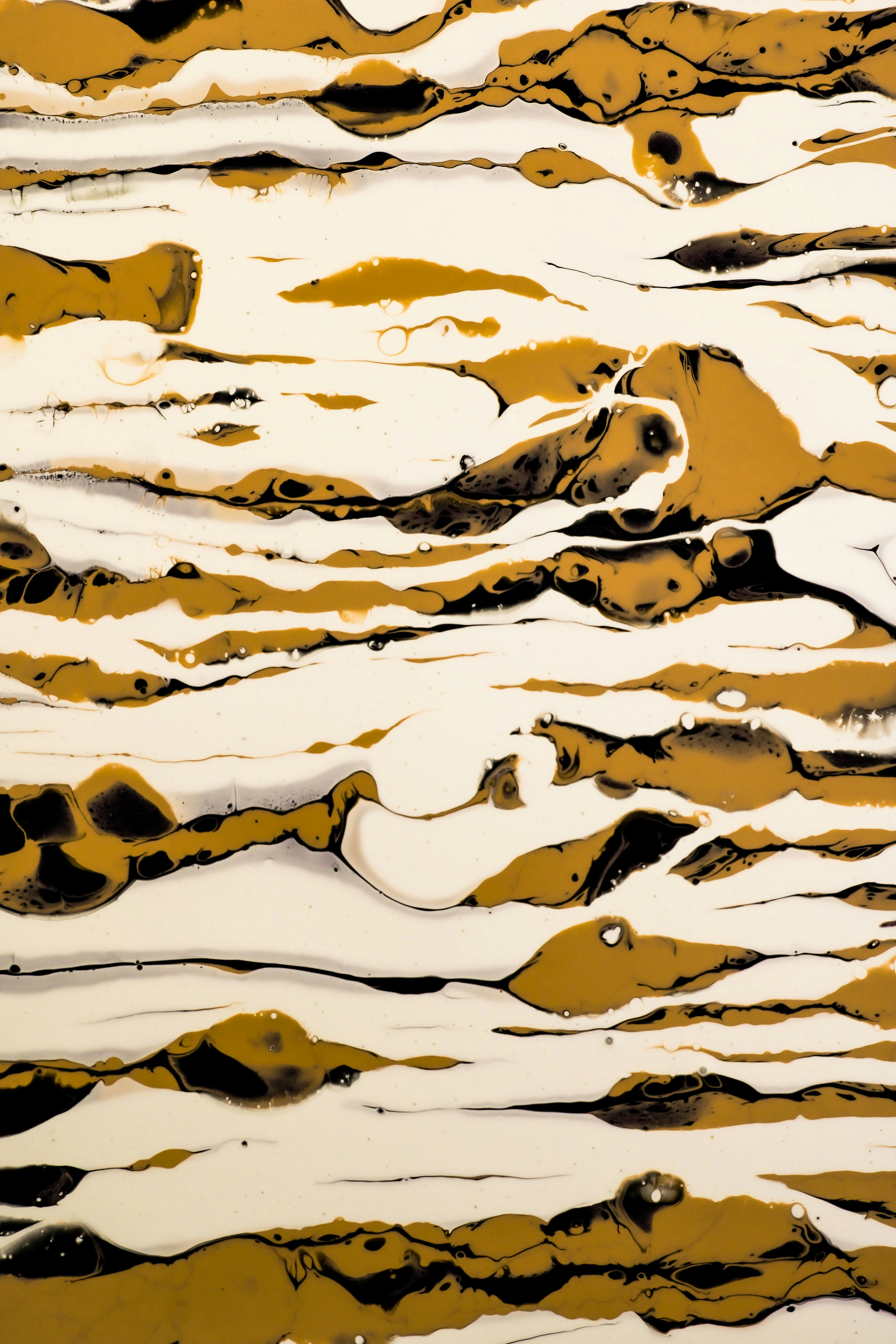 Photo by Susan Wilkinson with Canon EOS 2000D