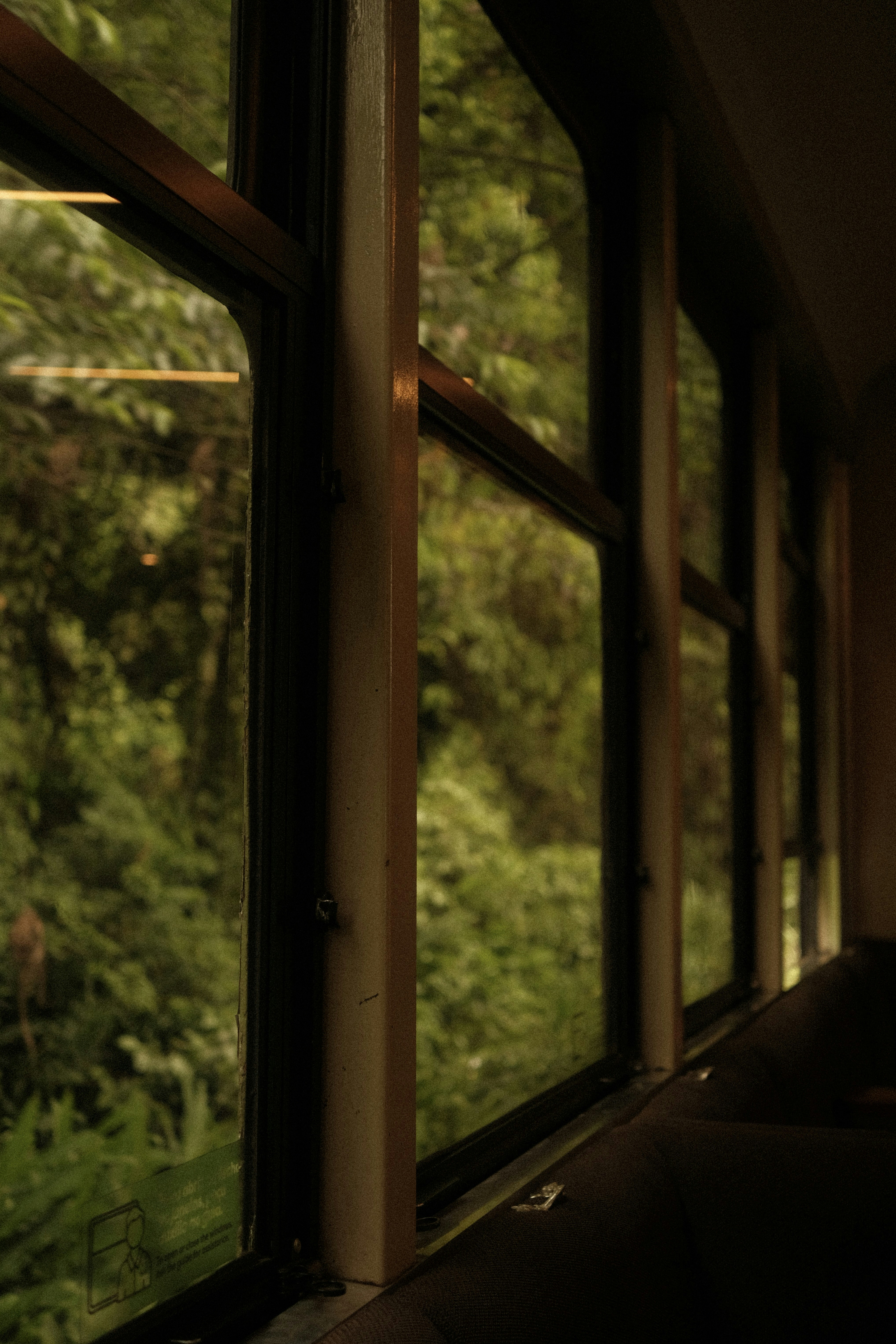 A view of a forest through a window photo – Free Image on Unsplash