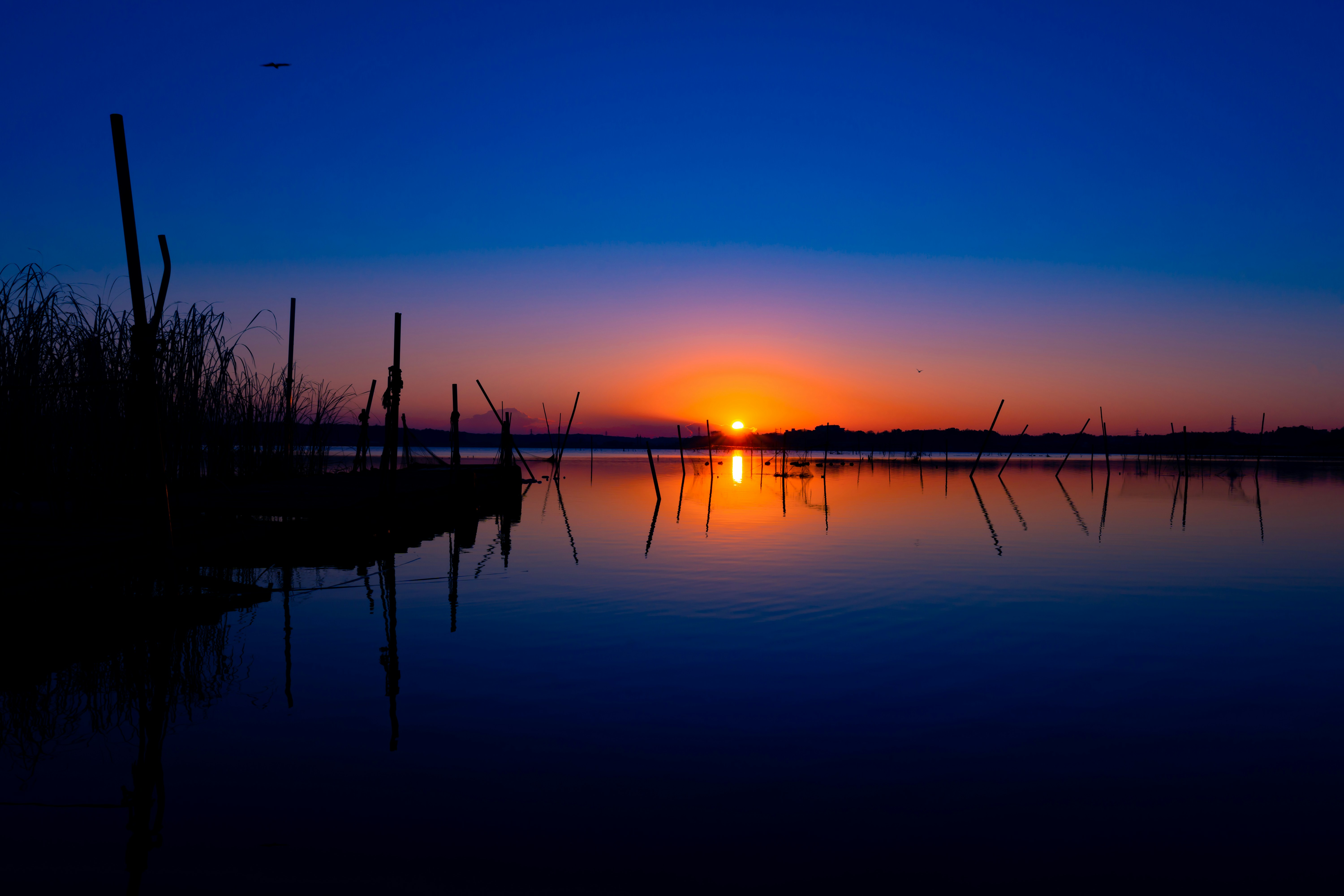 The sun is setting over a calm lake photo – Free Chiba lake inba Image ...