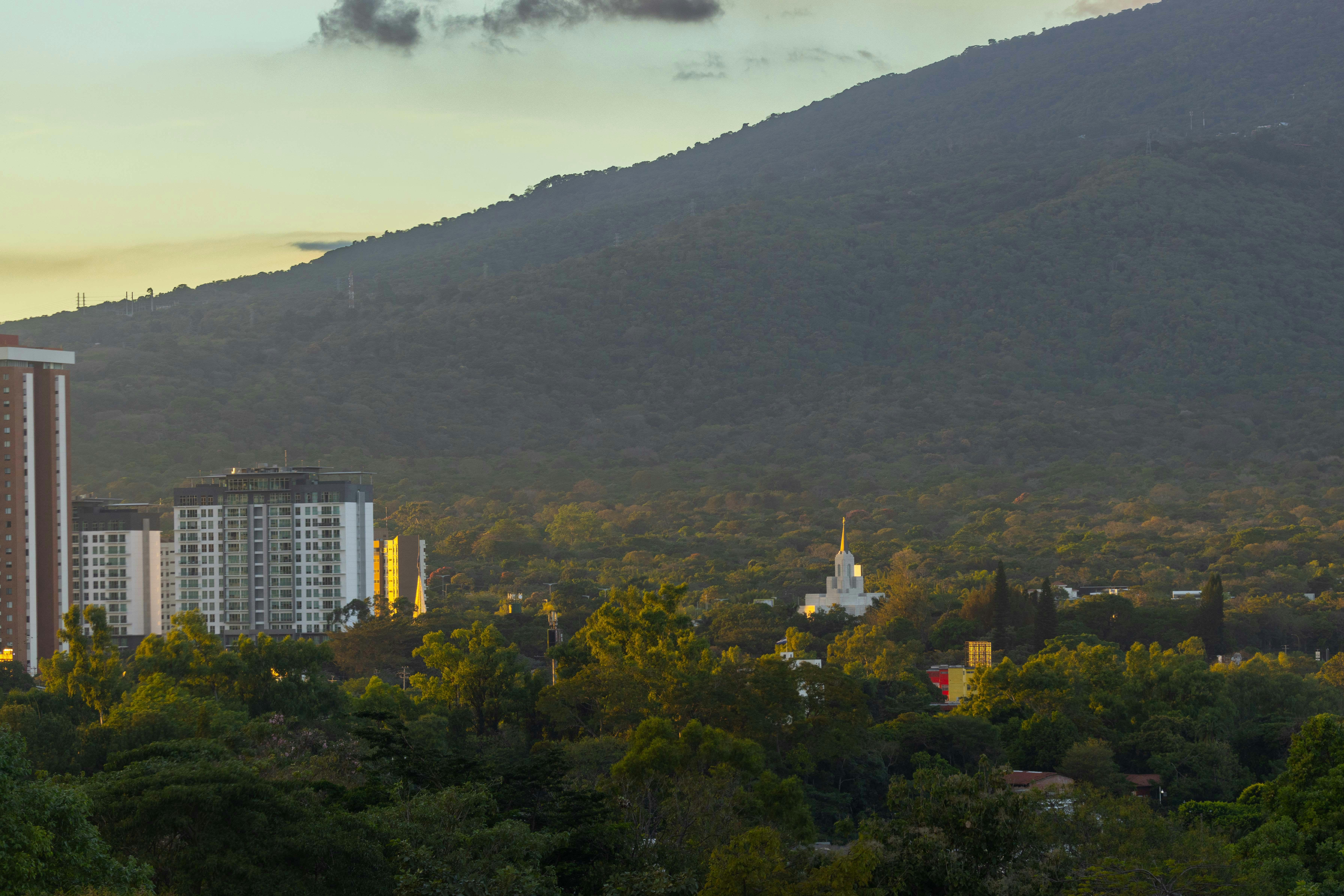 Photo by Roberto Peña with Canon EOS R5