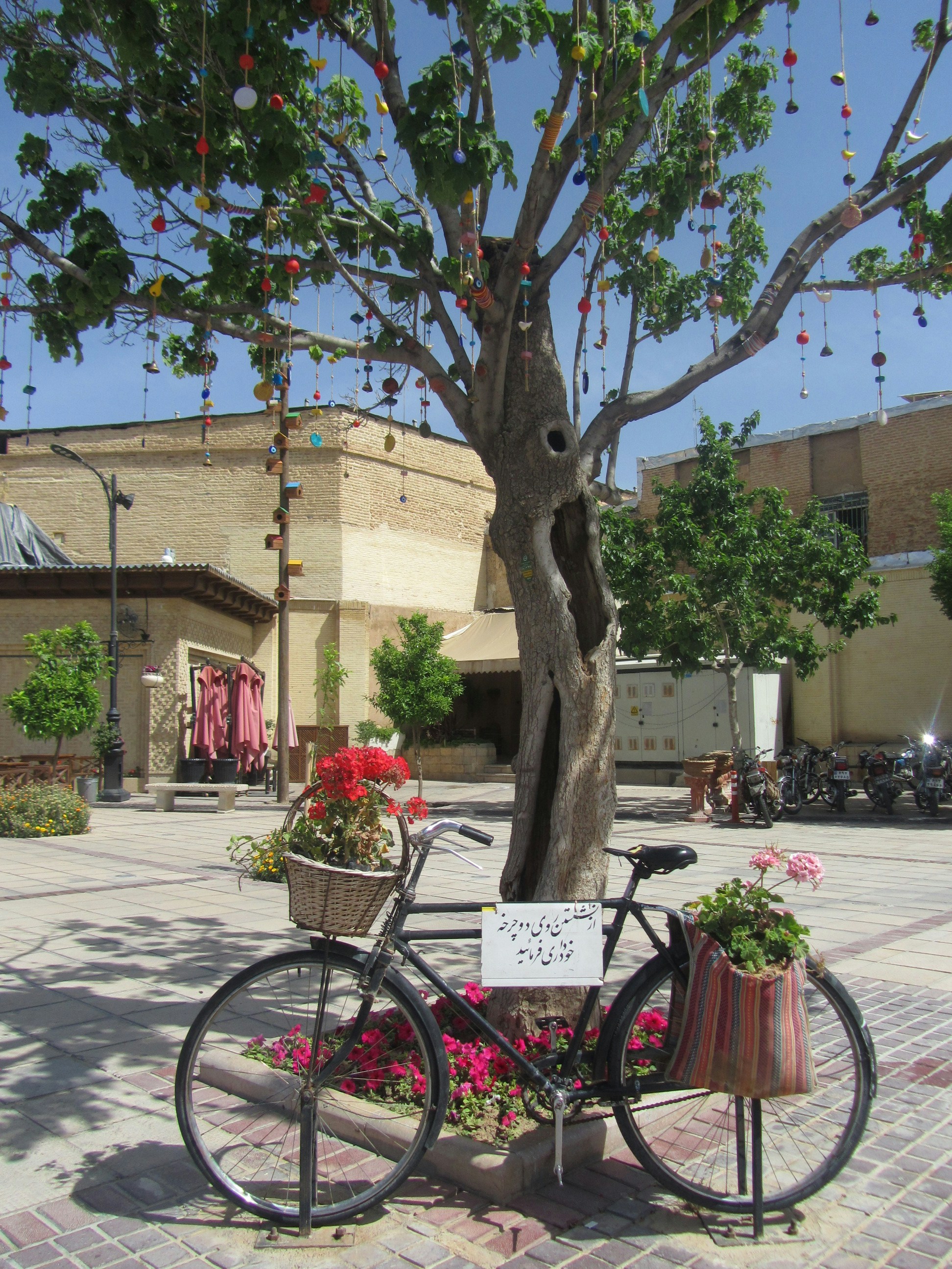 Sunny Courtyard Bicycle with Blossoms and a Heartfelt Sign