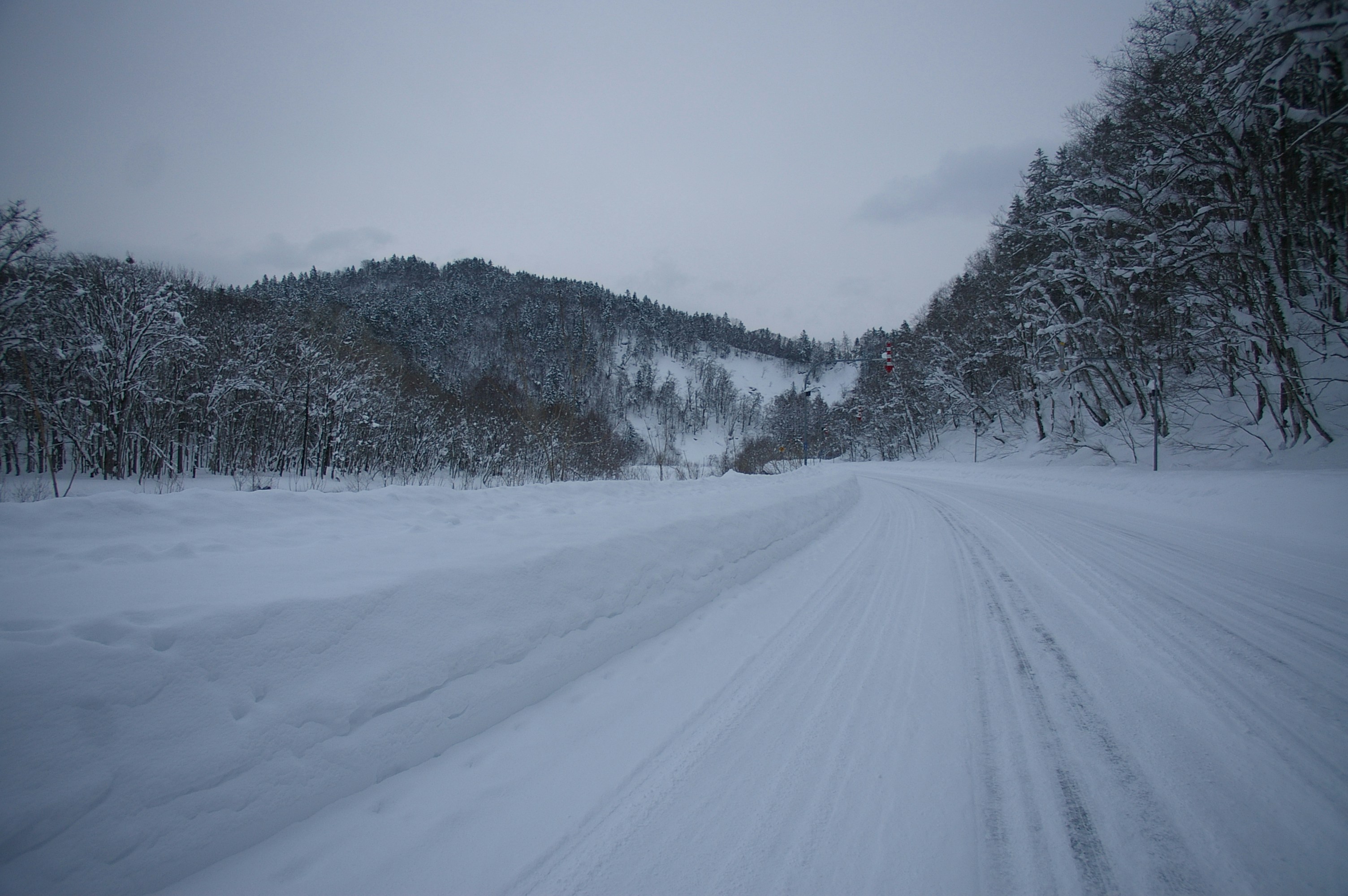 Photo by Yujin Yano with Pentax *ist DS