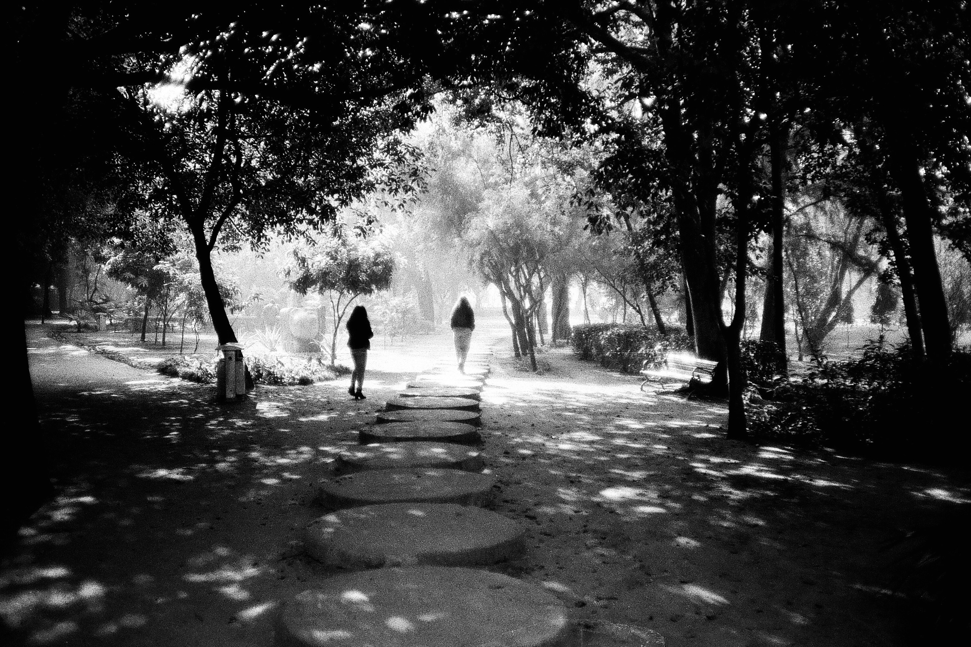 Two people walking down a path in a park photo – Free Analogue ...