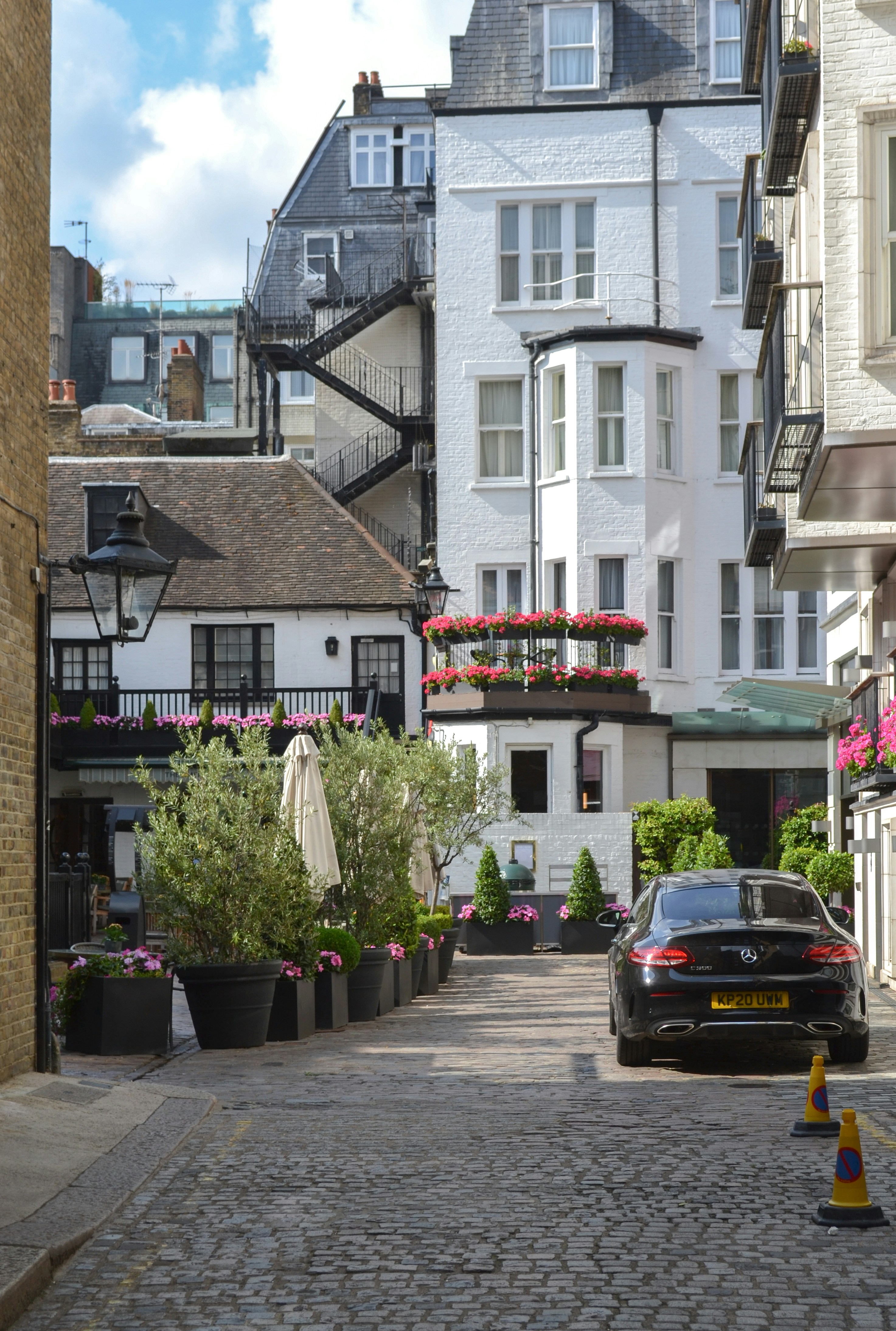 Photo by Lia Choi with Nikon D3100