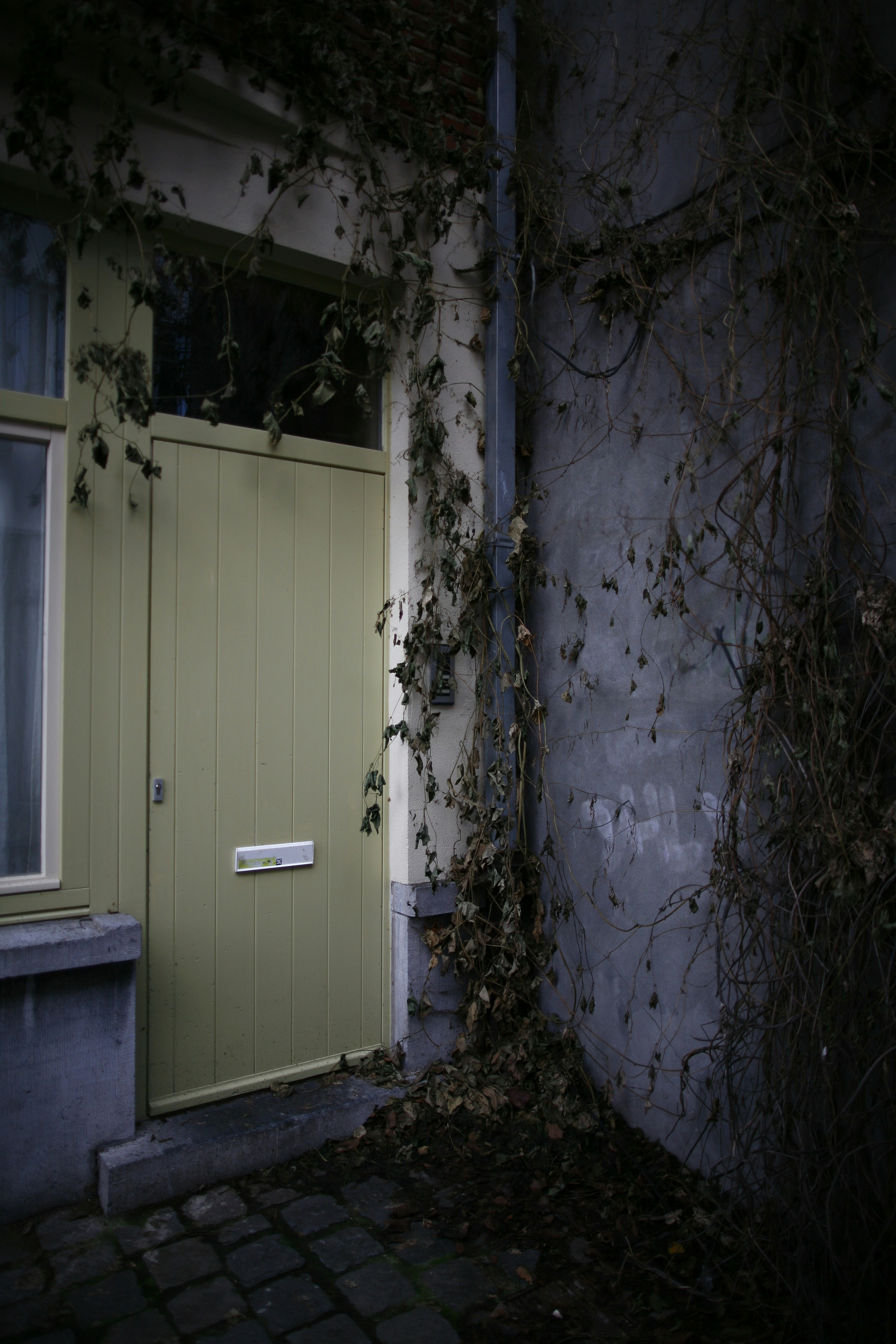 a door with vines growing up the side of it