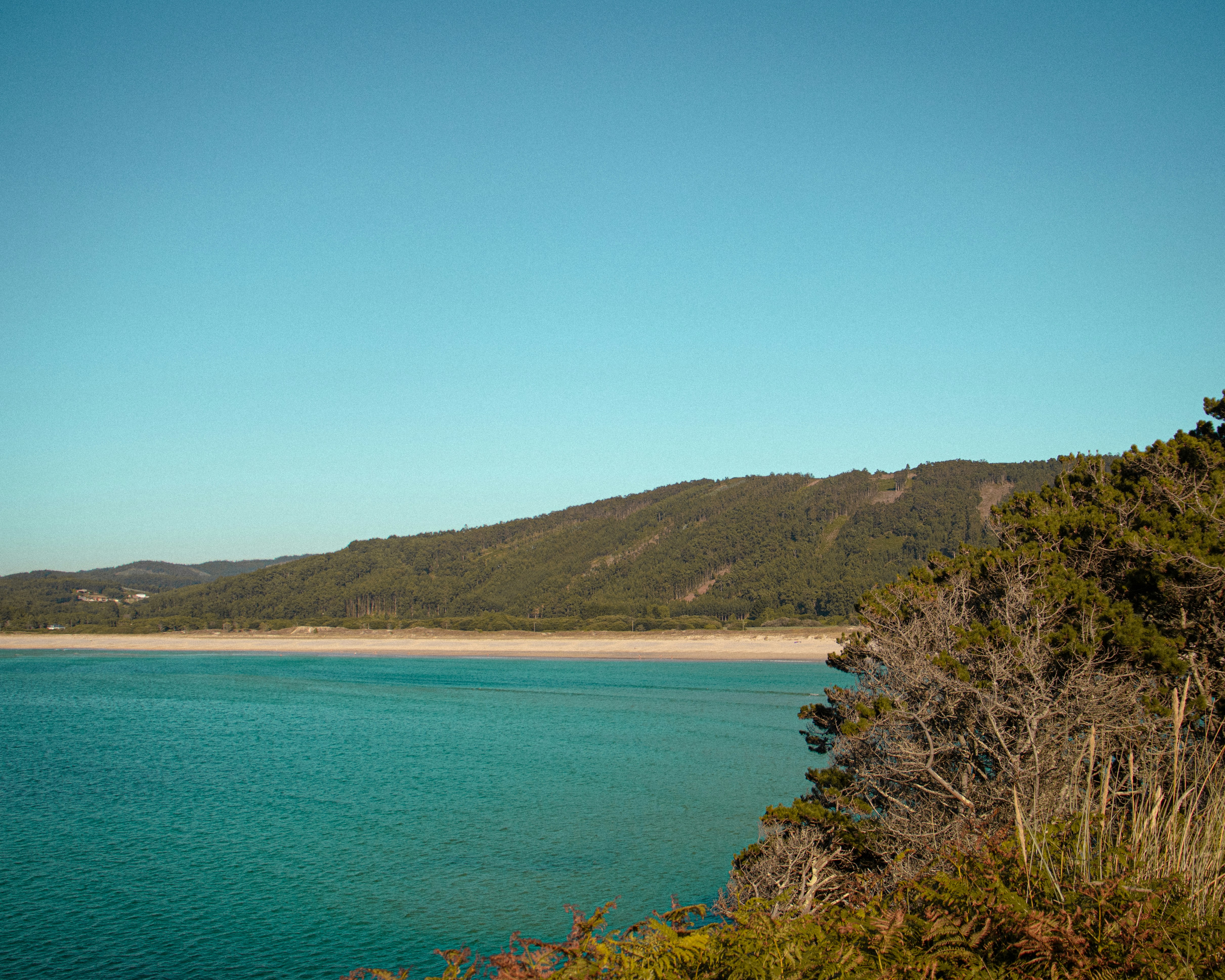 a large body of water surrounded by trees