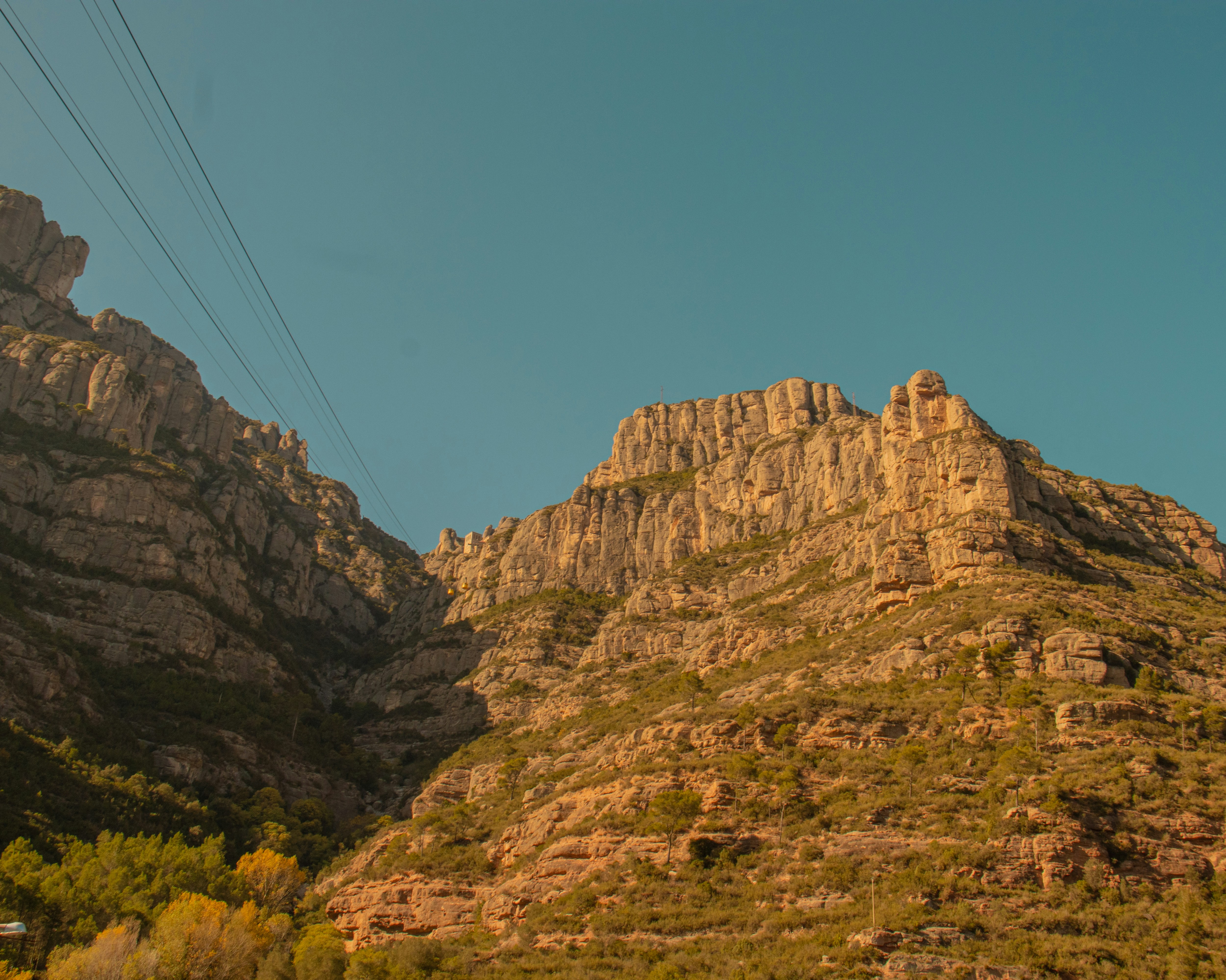 Echoes of Time: The Silent Sentinels of Nature
