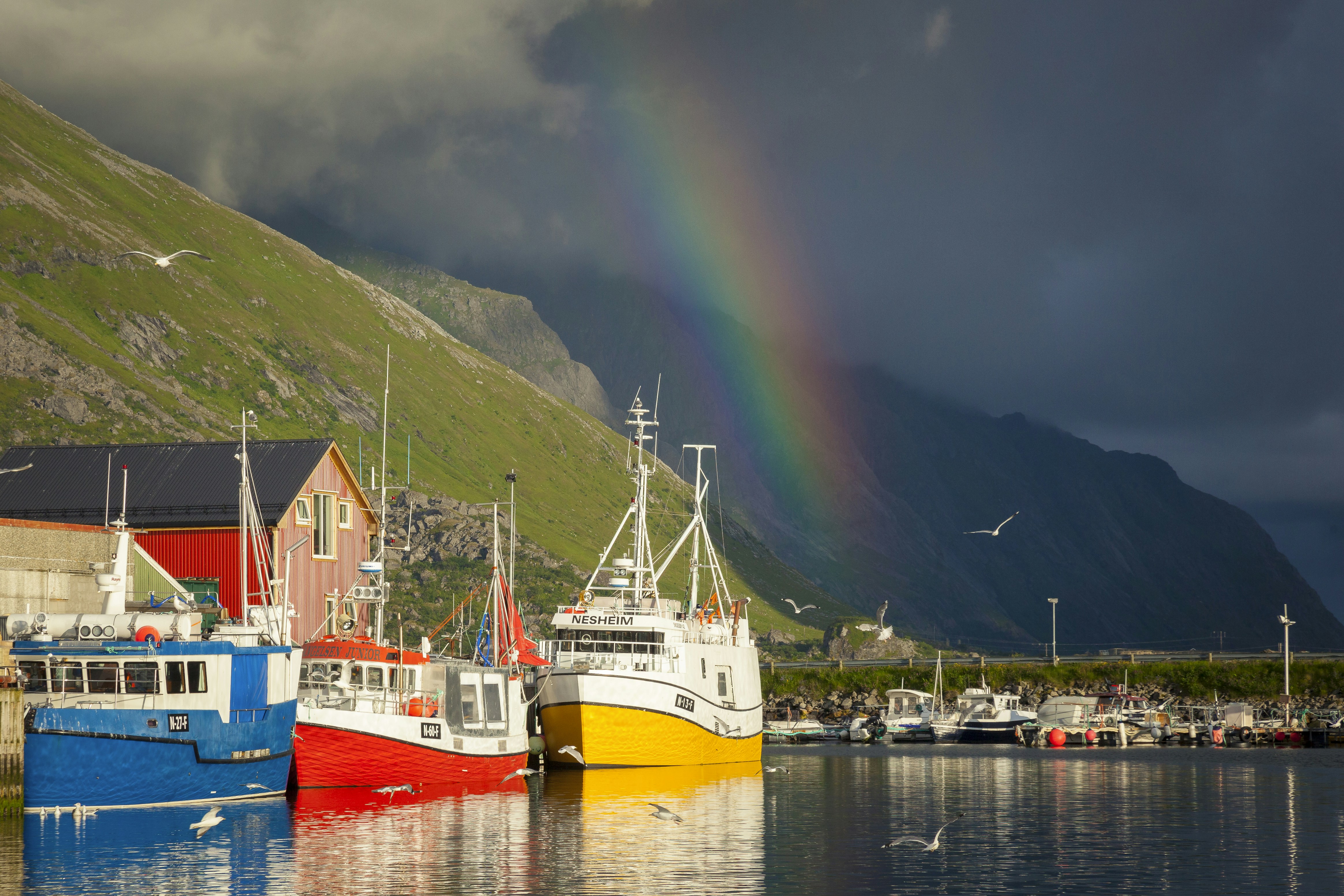 Rainbow Over the Harbor Flotilla