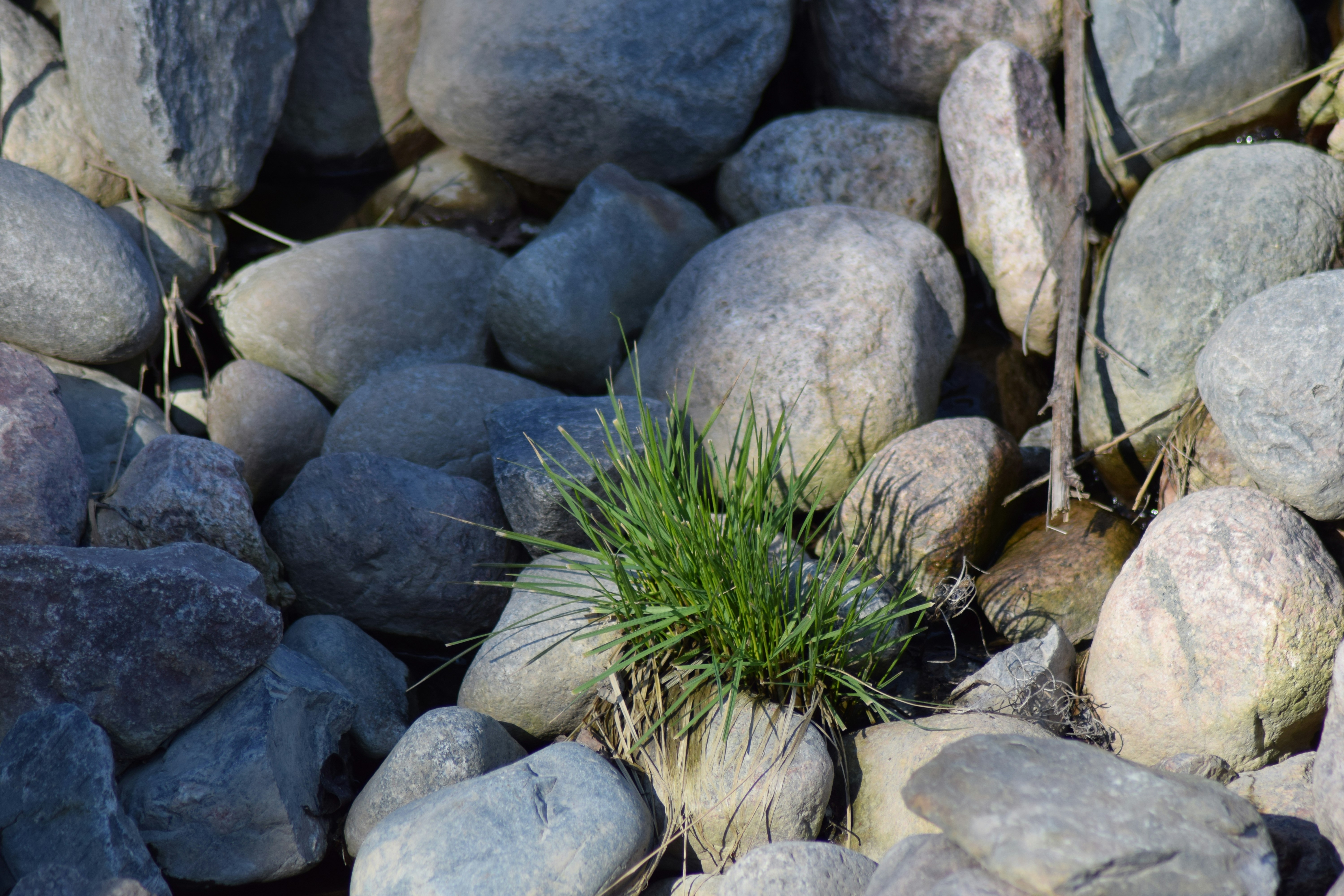 Anu Kuru (@kurunen) | Unsplash 사진 커뮤니티