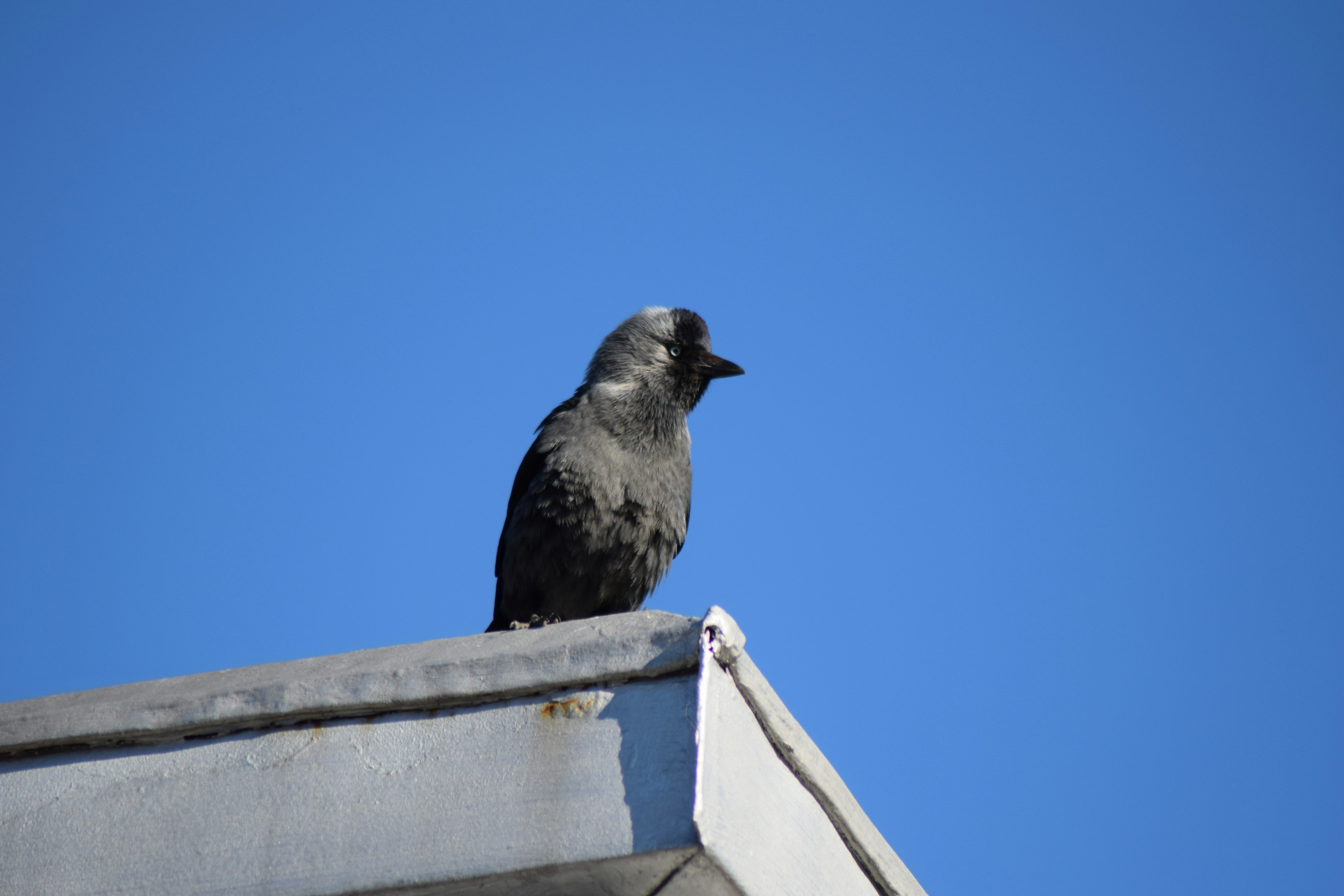 Anu Kuru (@kurunen) | Unsplash 사진 커뮤니티