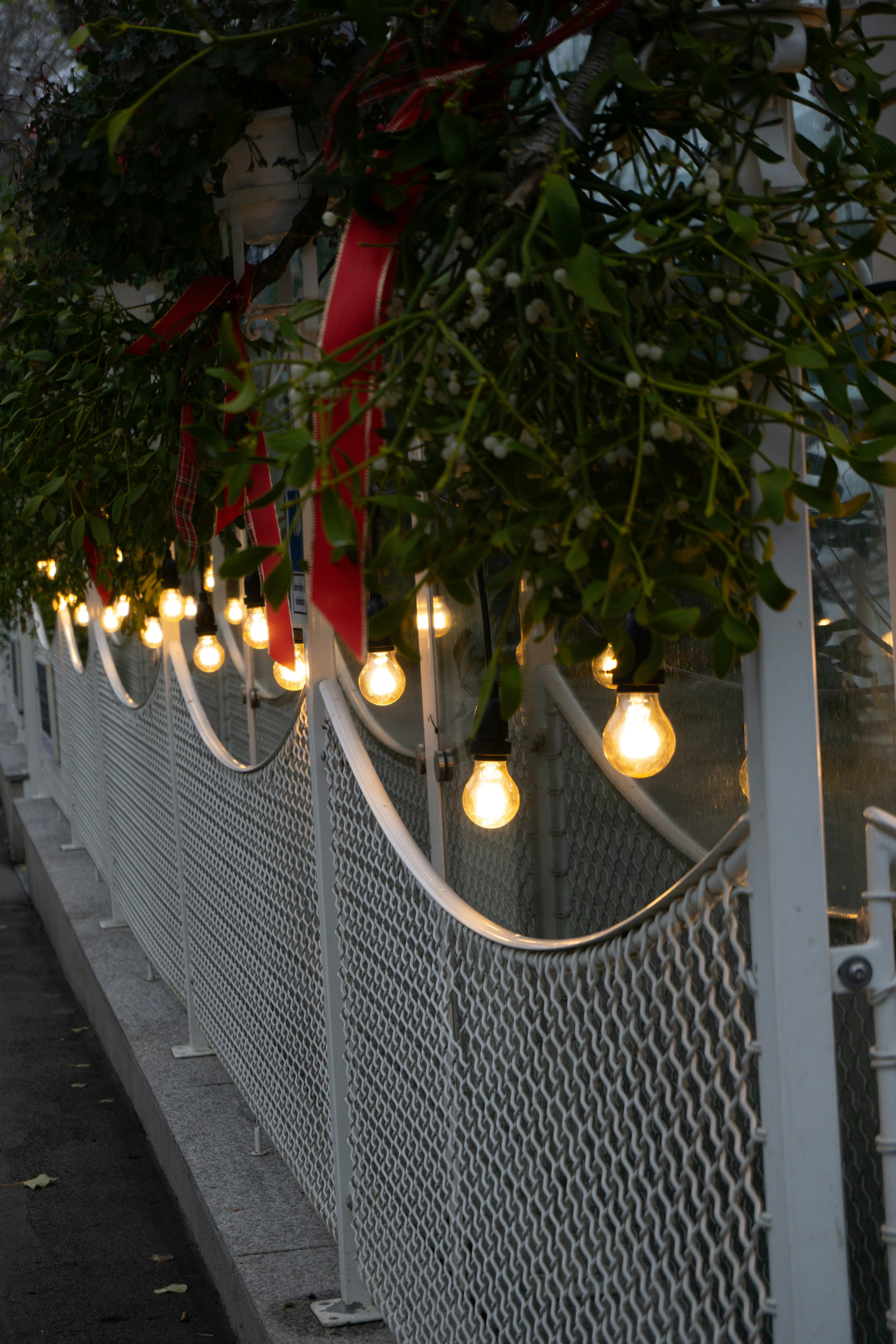 Incandescent Orbs Along a White Fence Beneath a Green Canopy