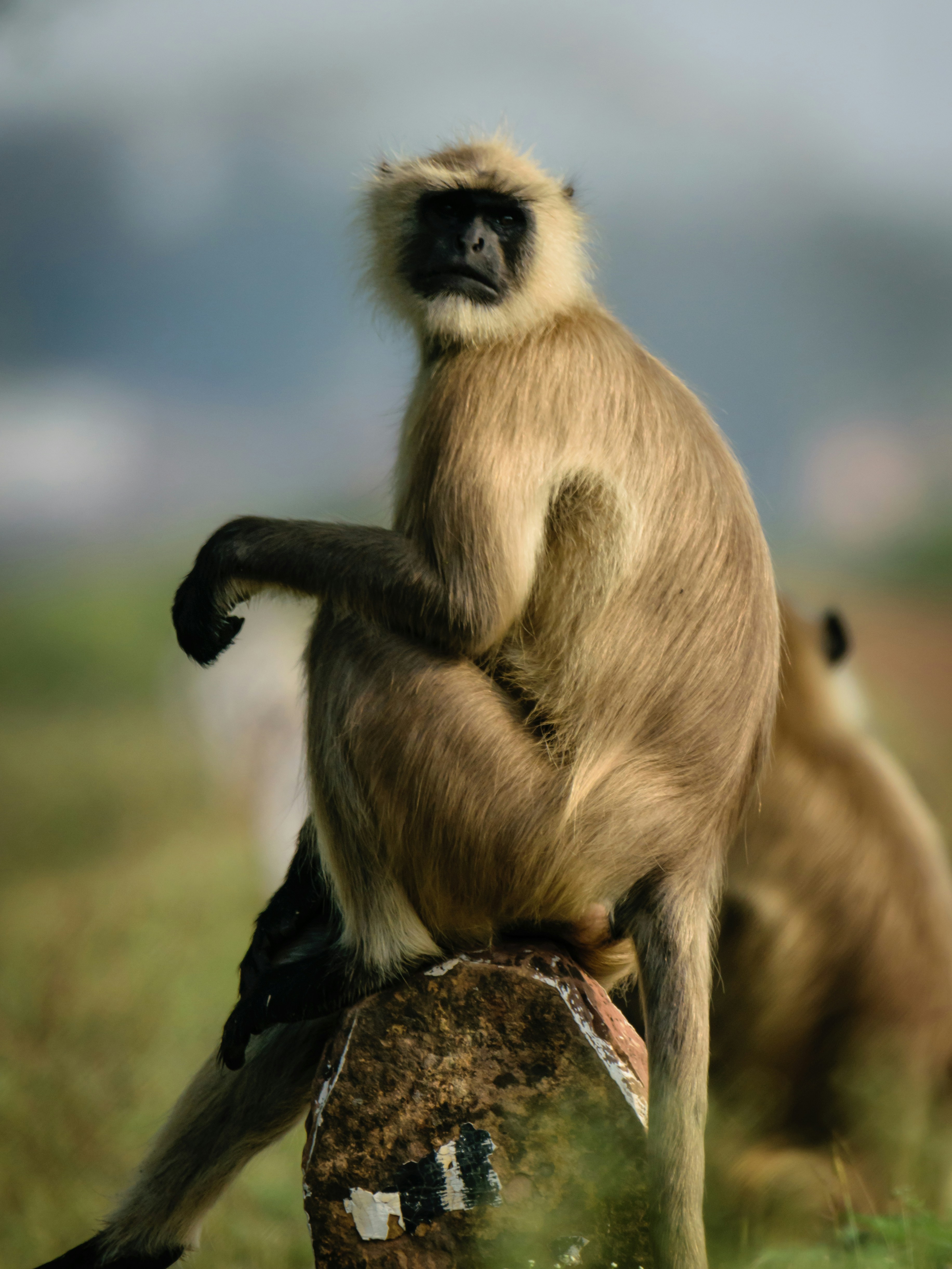 Photo by Lalit Sahu with Nikon D5300