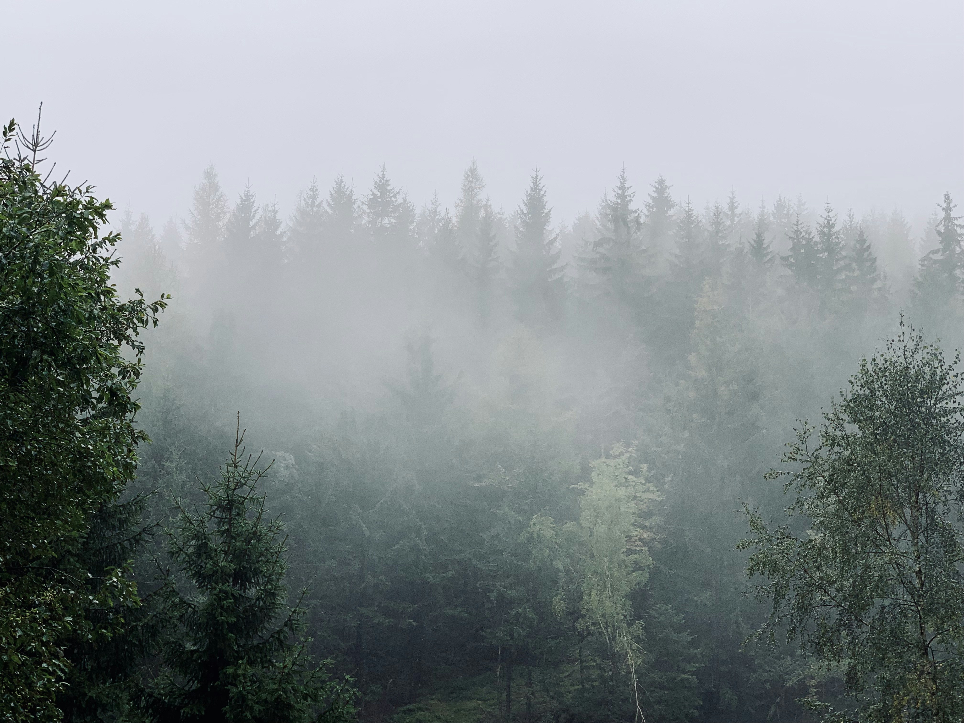 Tim Altmann (@timaltmann) | Comunidad de fotos de Unsplash