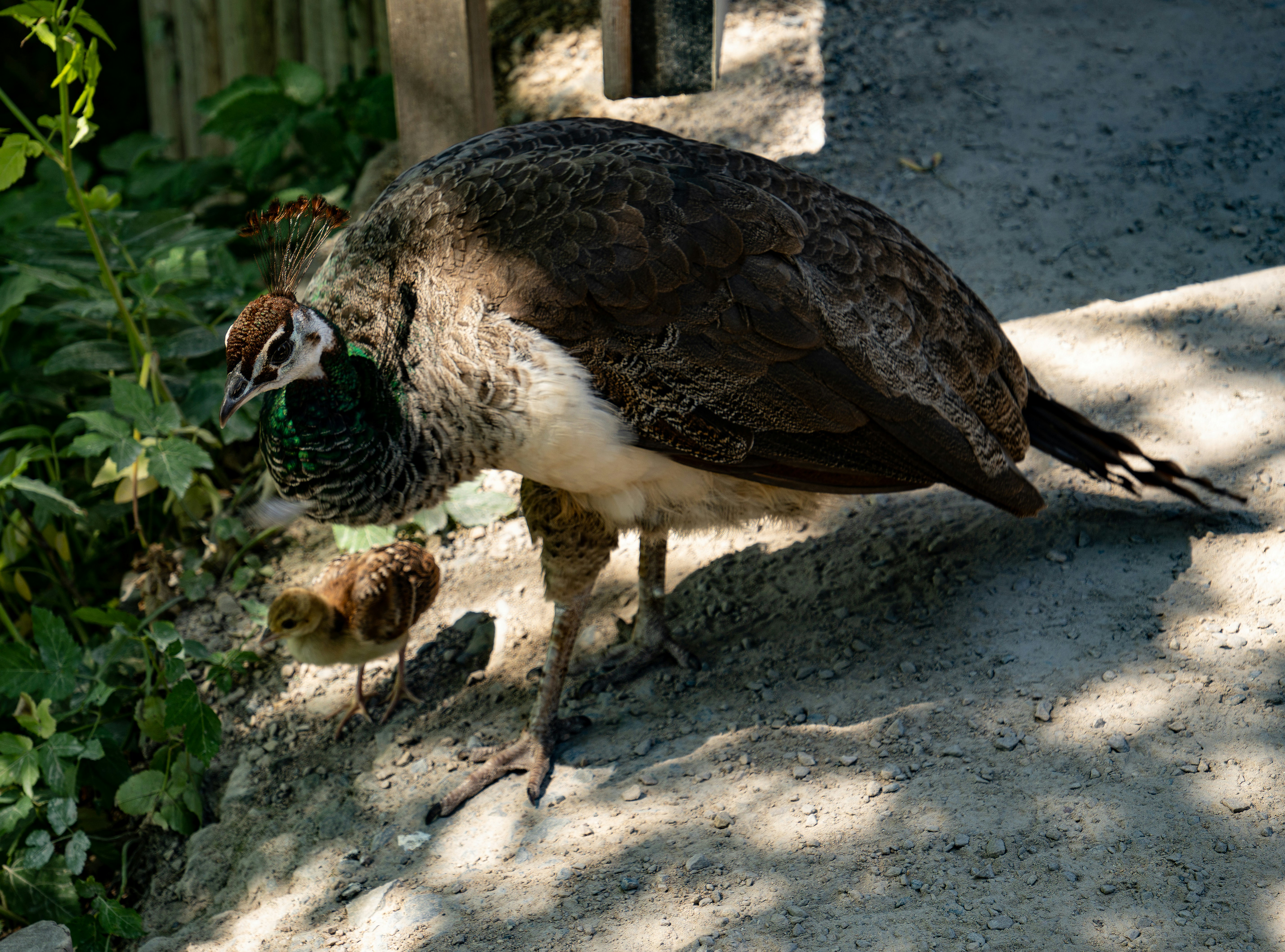 Photo by Jay Turner with Sony Alpha 7 III