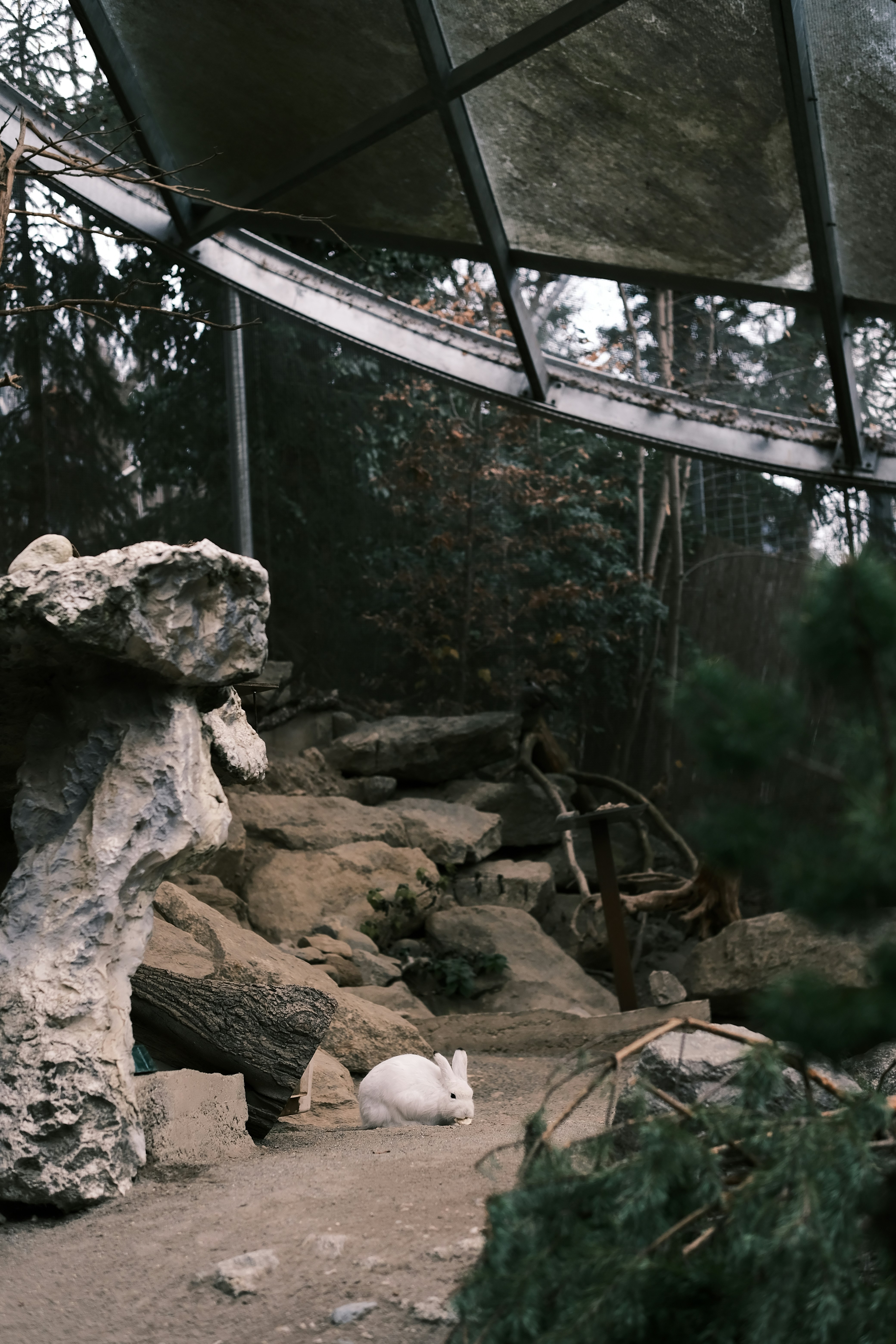 White Rabbit at the Rock Staircase Beneath a Curved Conservatory Roof