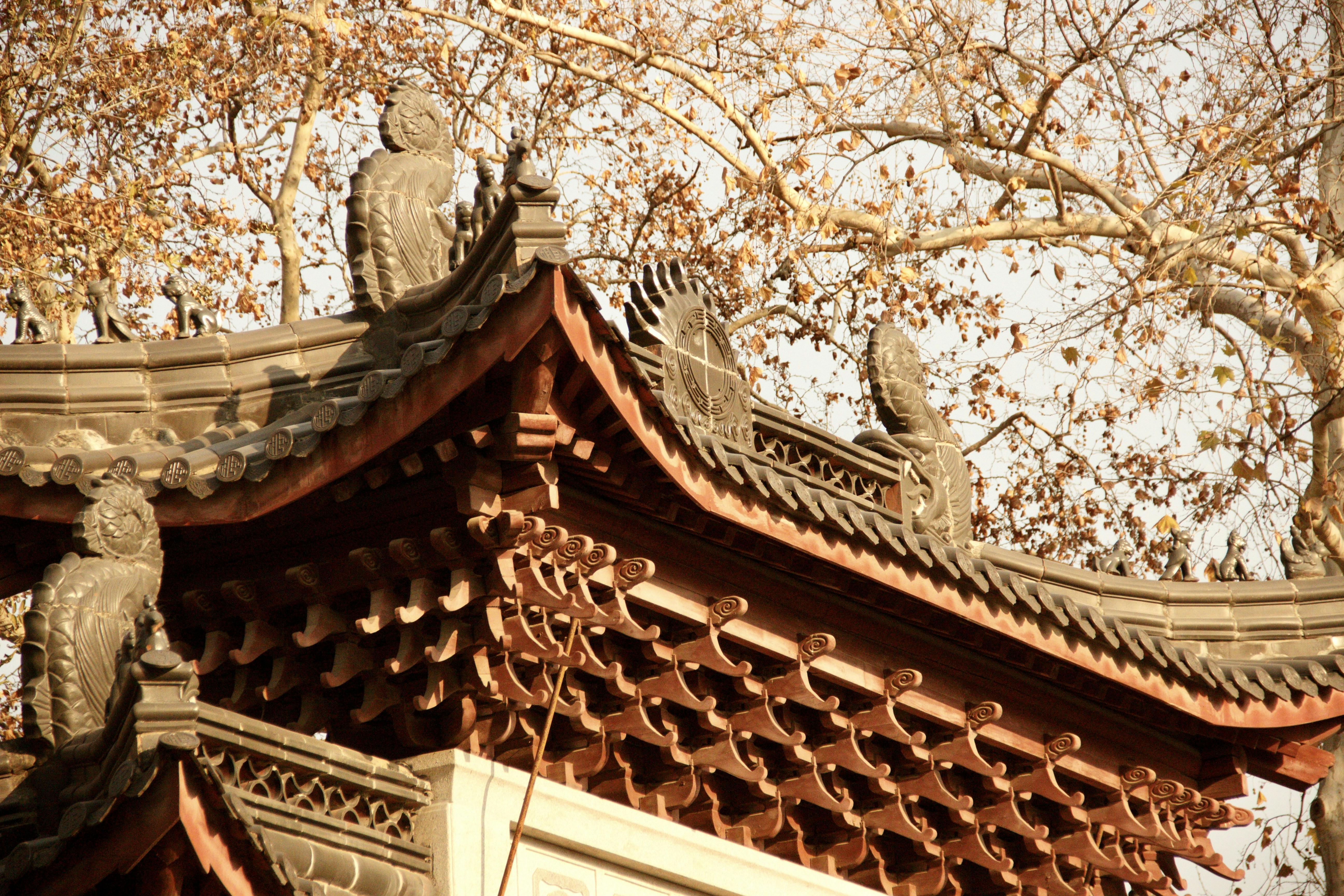 two birds perched on the roof of a building