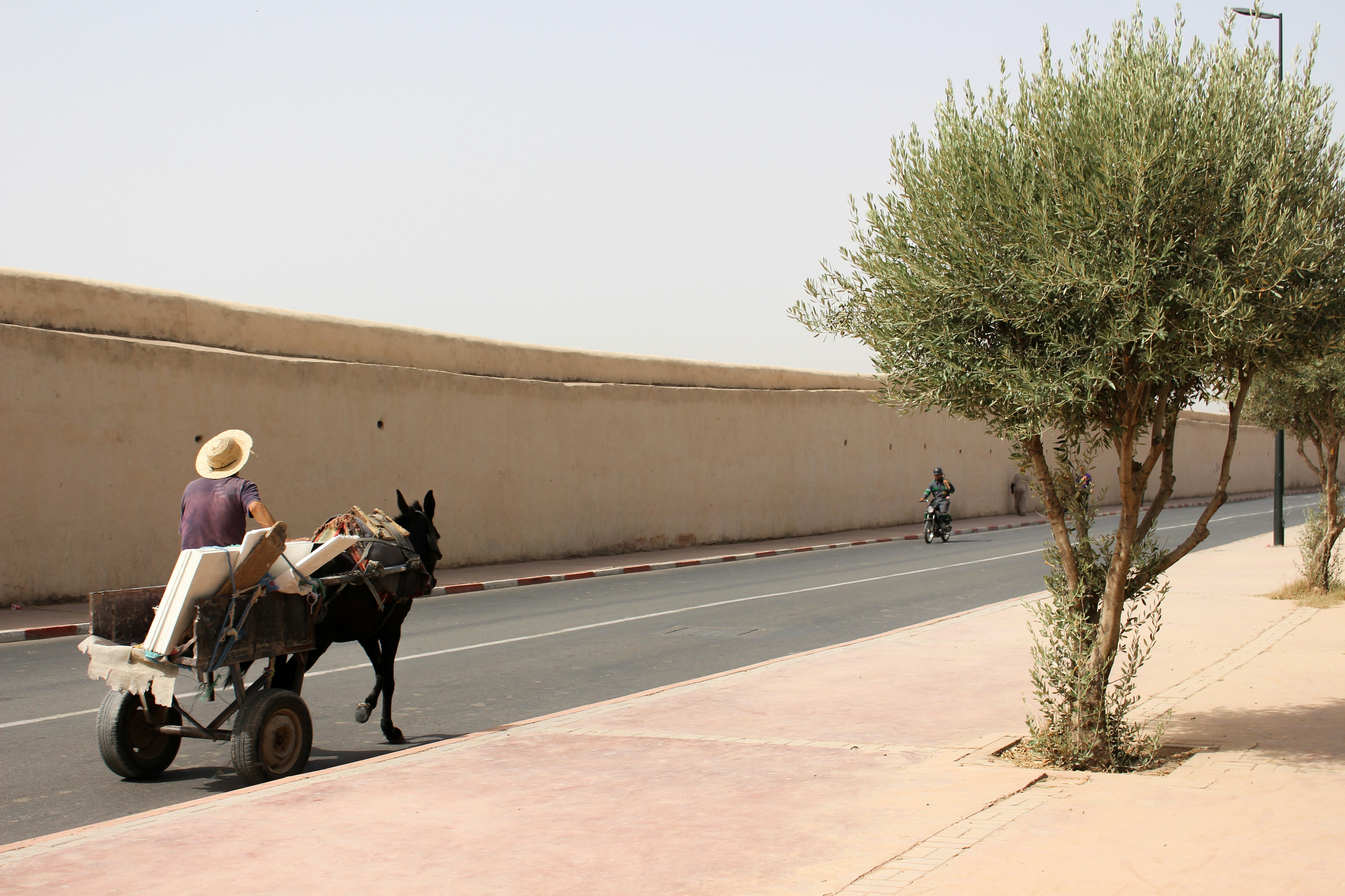 Dusty Boulevard Cart: A Desert Road Moment by the Wall