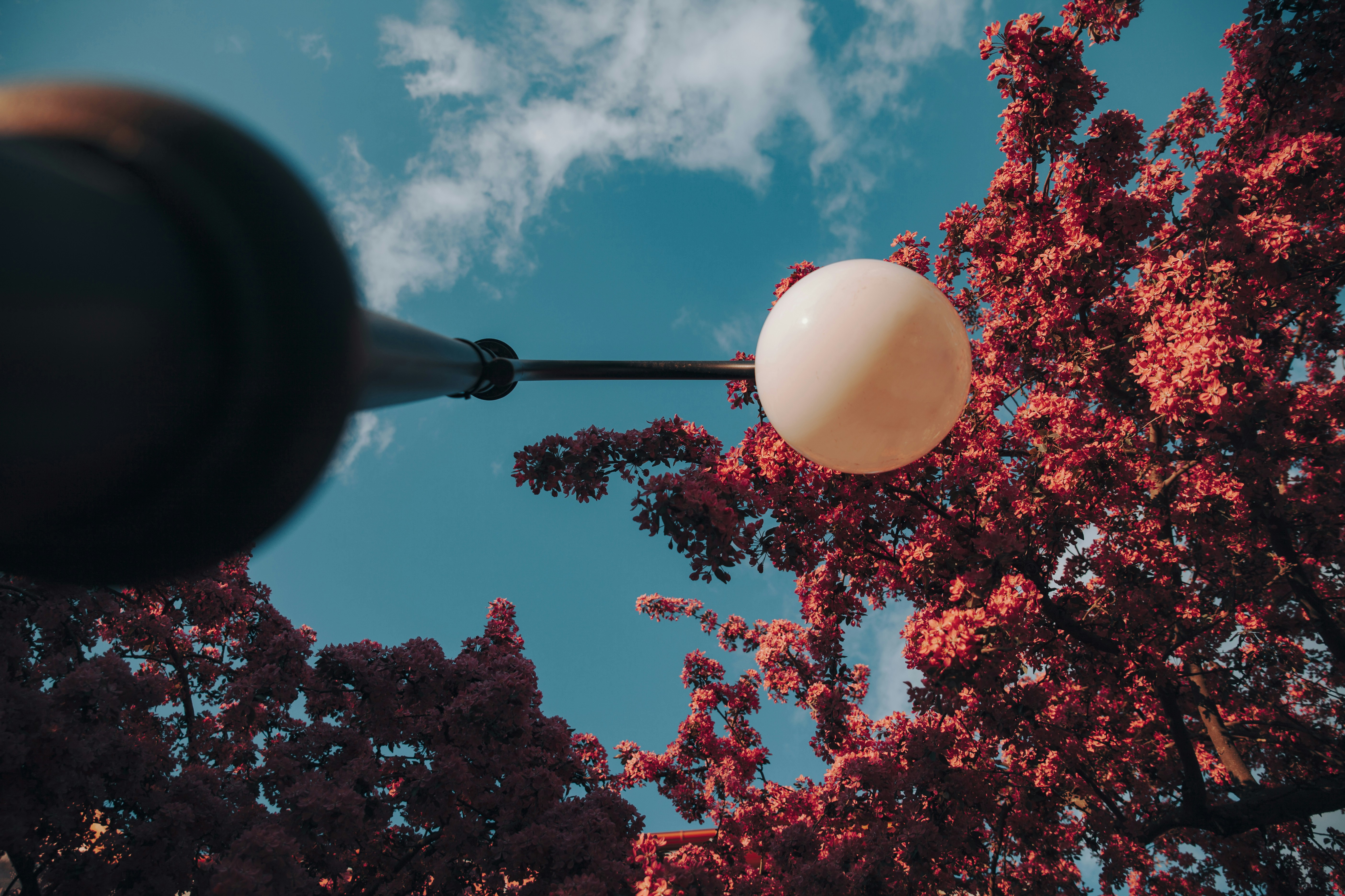 Photo by Sylvester Sabo with Canon EOS 5D Mark II