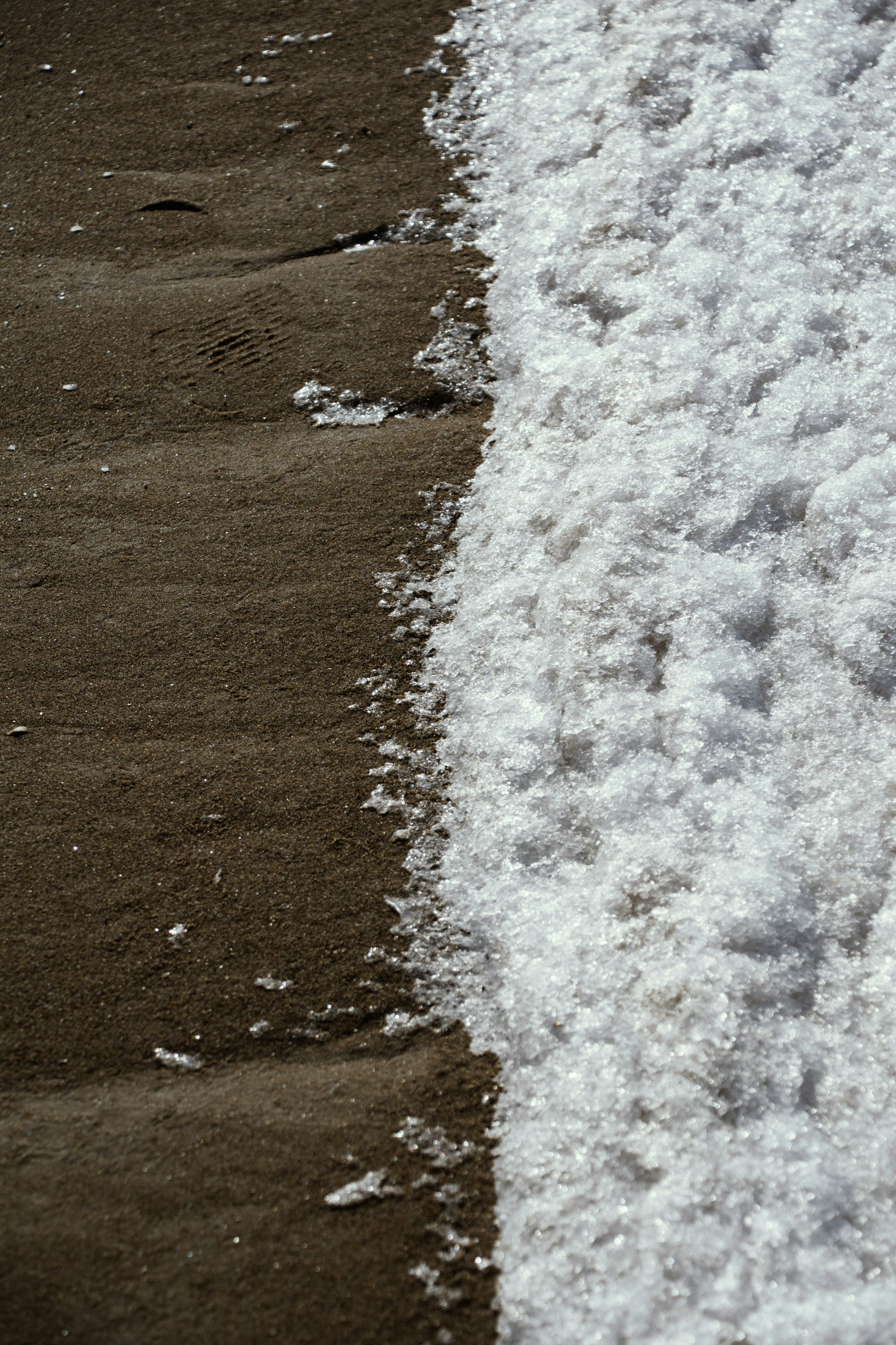 Snowline at the Shore: A Quiet Boundary Between Elements