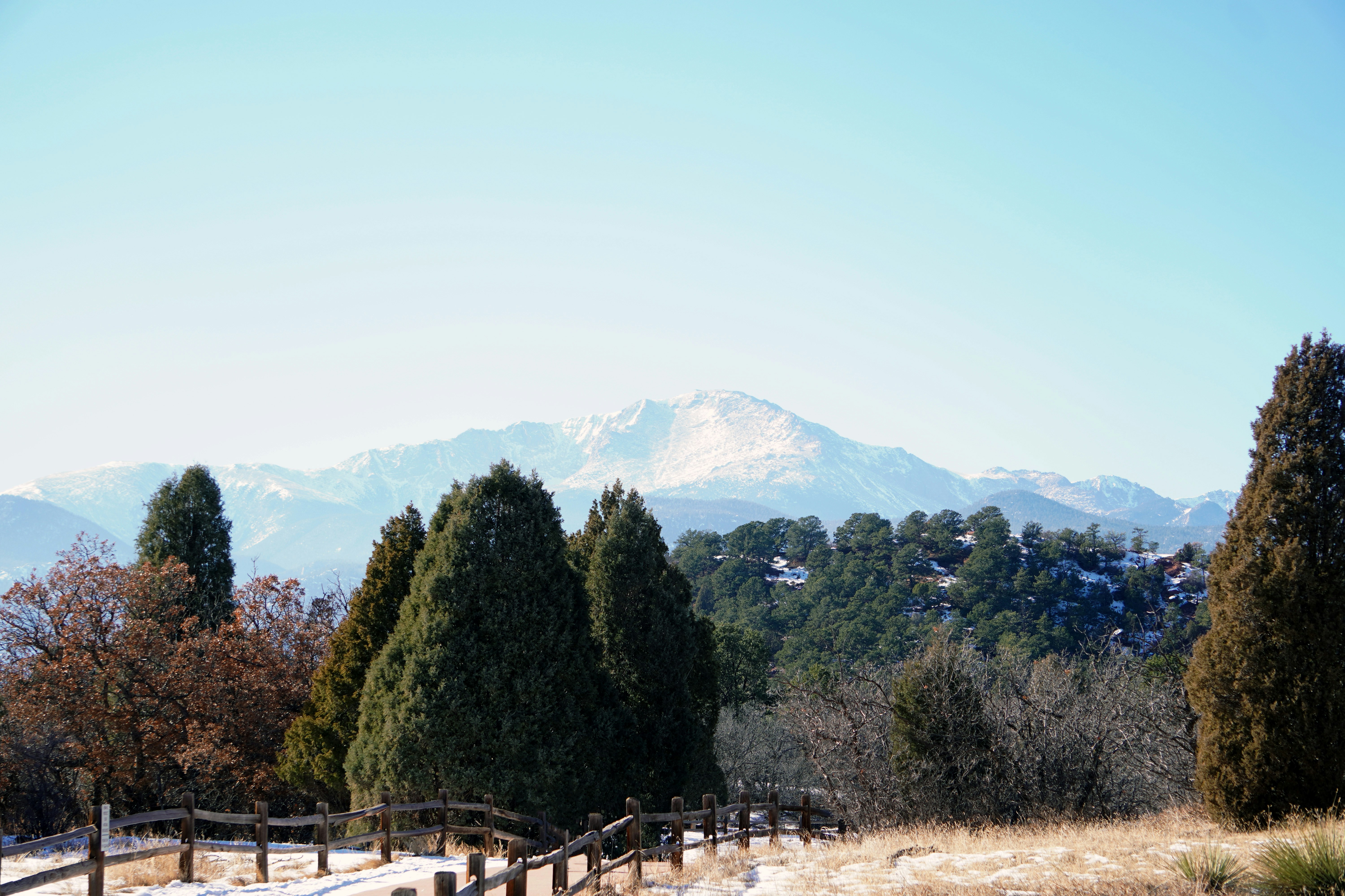 Snowcapped Serenity: Mountain Ridge Beyond a Timbered Path