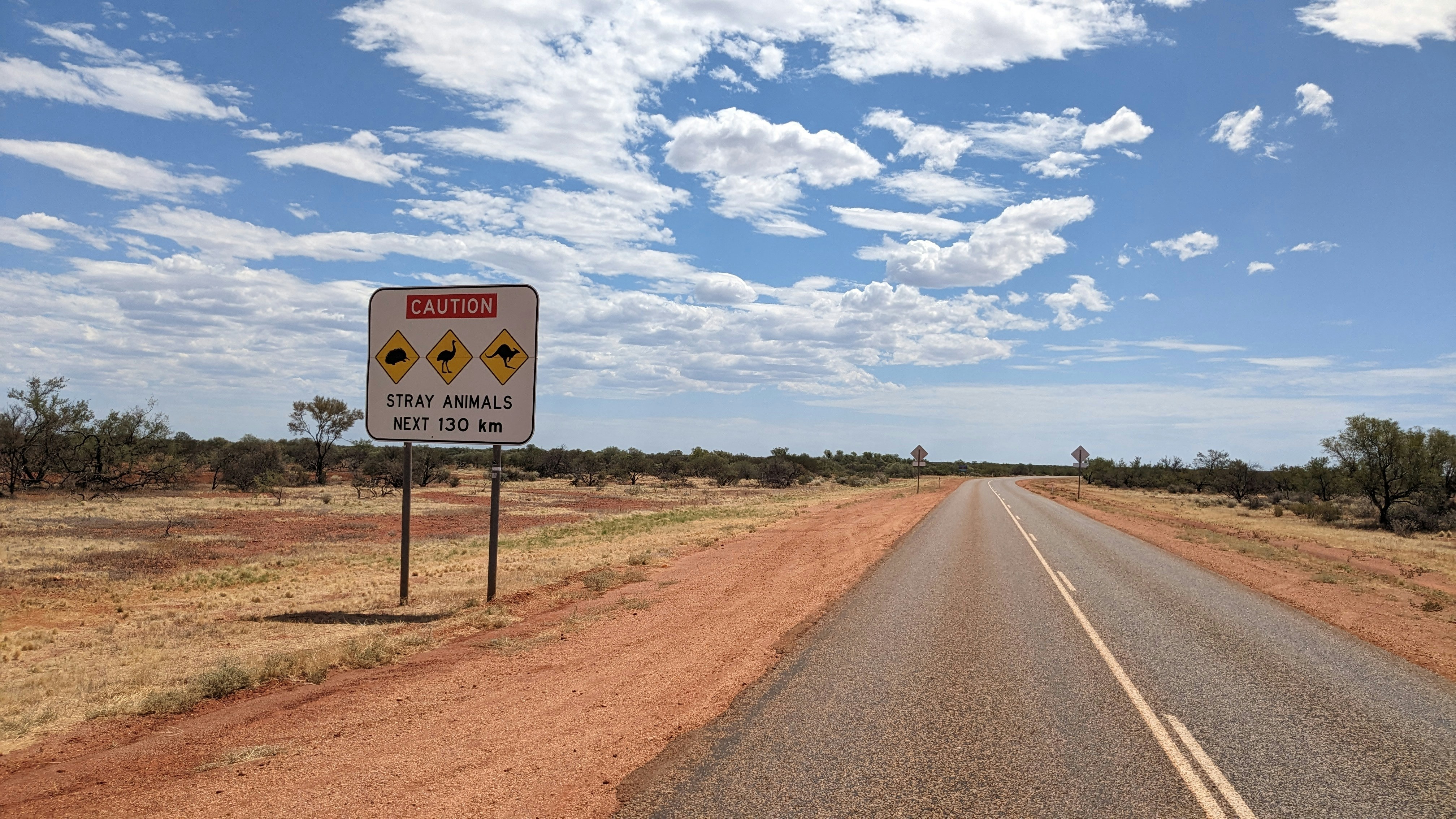 Photo of a straight red-dirt road stretching to the horizon with a left-side caution sign about stray animals and sparse desert vegetation under a cloudy sky.