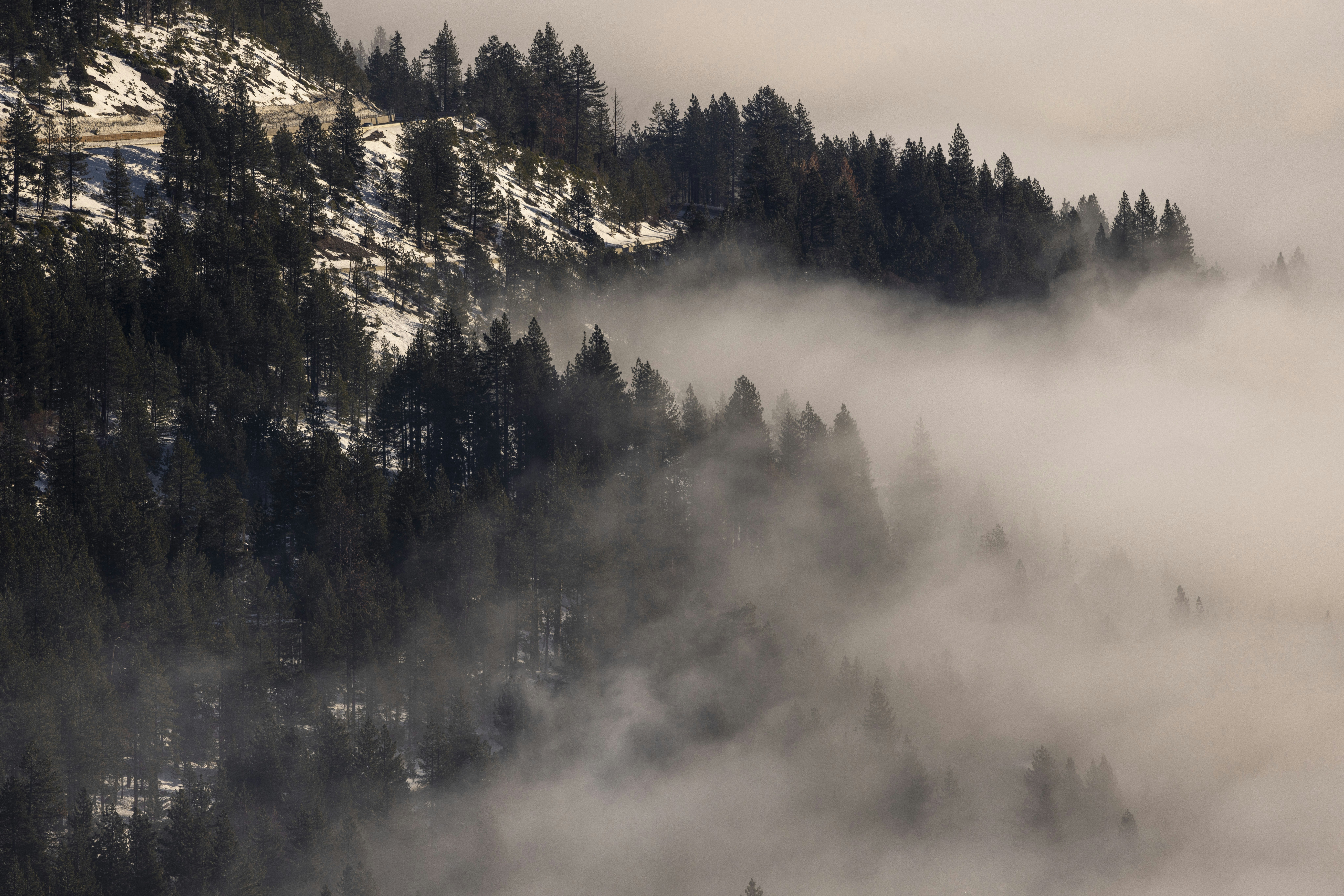 A mountain covered in fog and low lying trees photo – Free Fog Image on ...