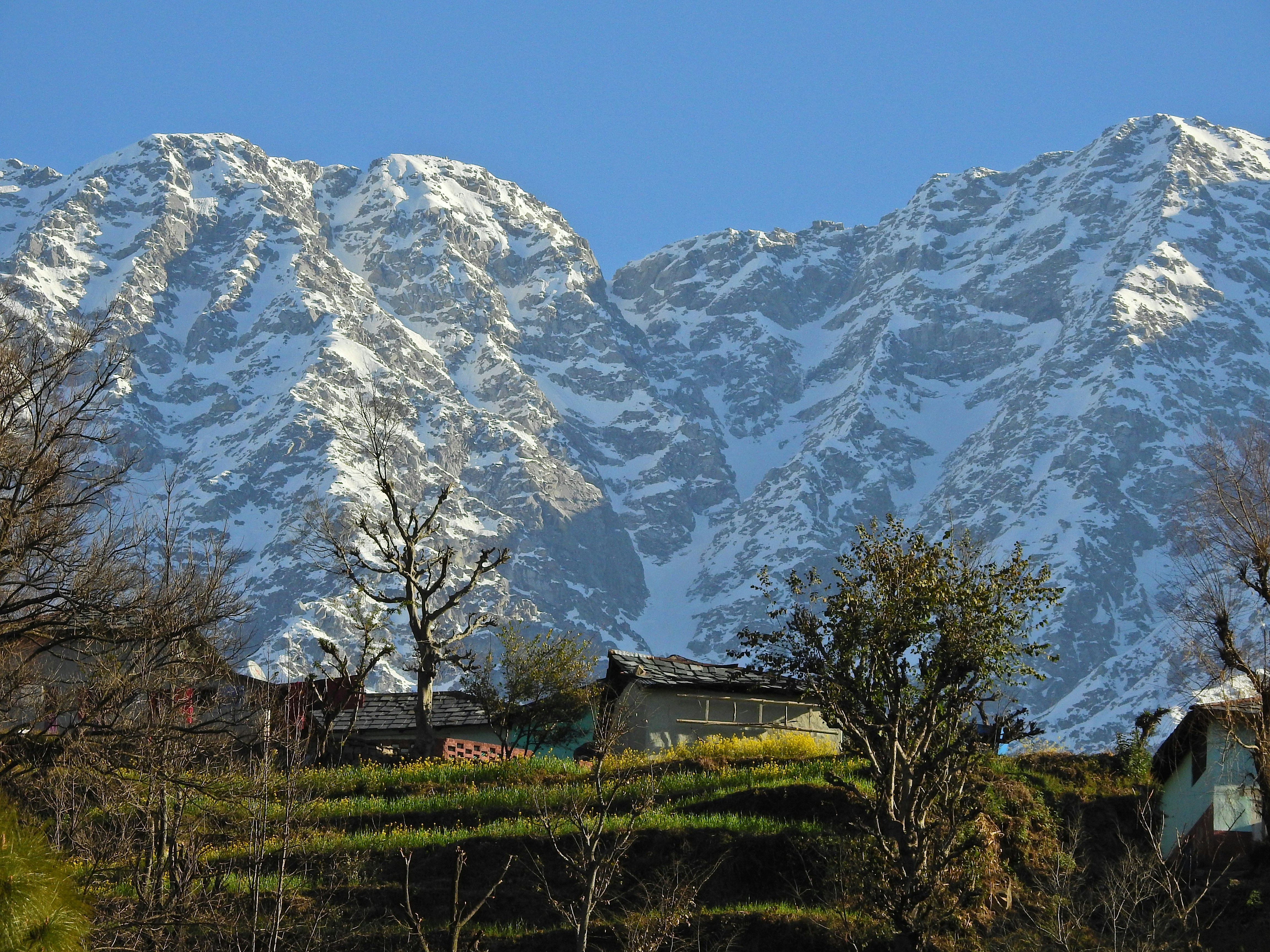 Whispers of the Snow-Capped Giants