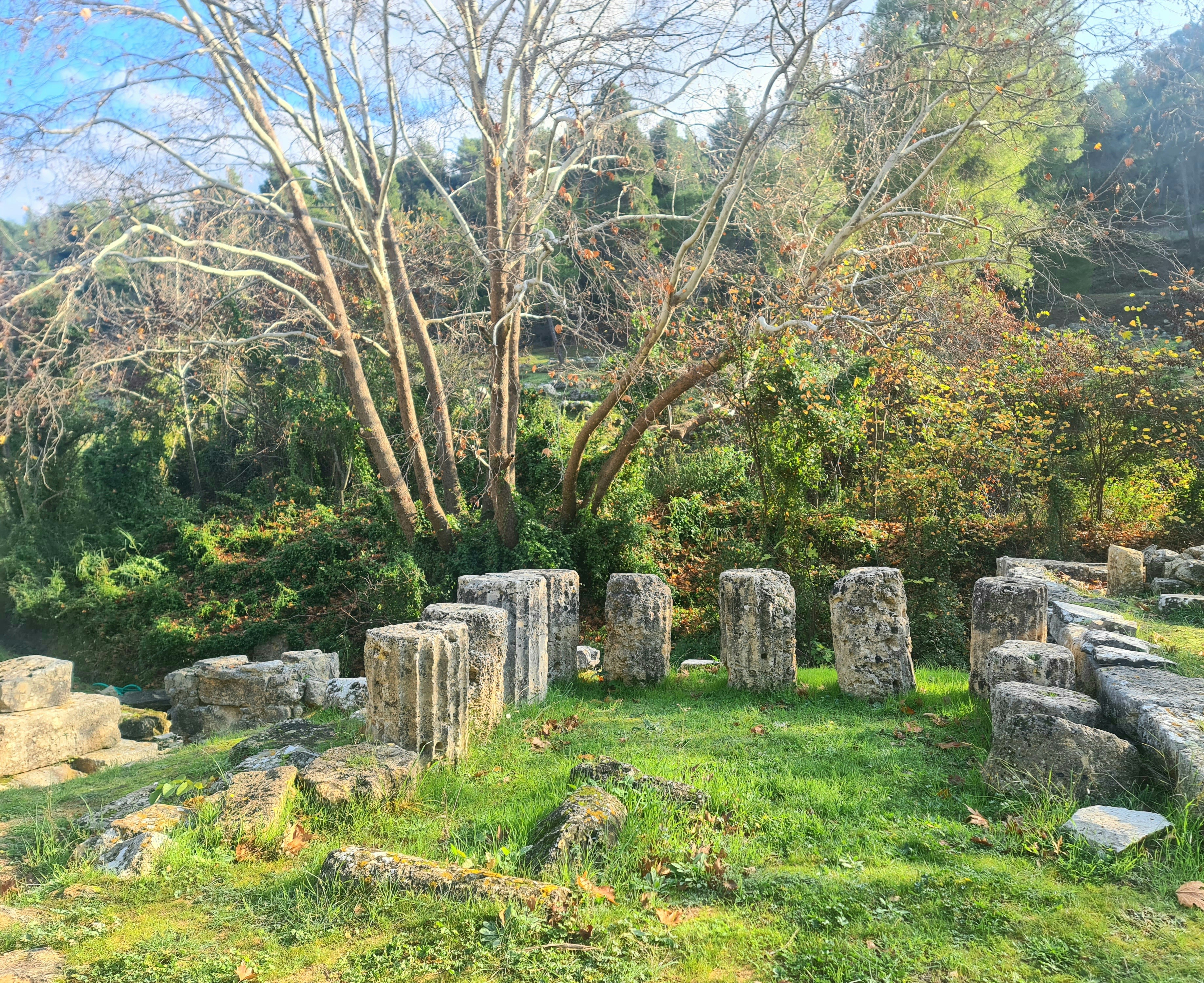 Stone Ring Beneath the Sun-Kissed Tree