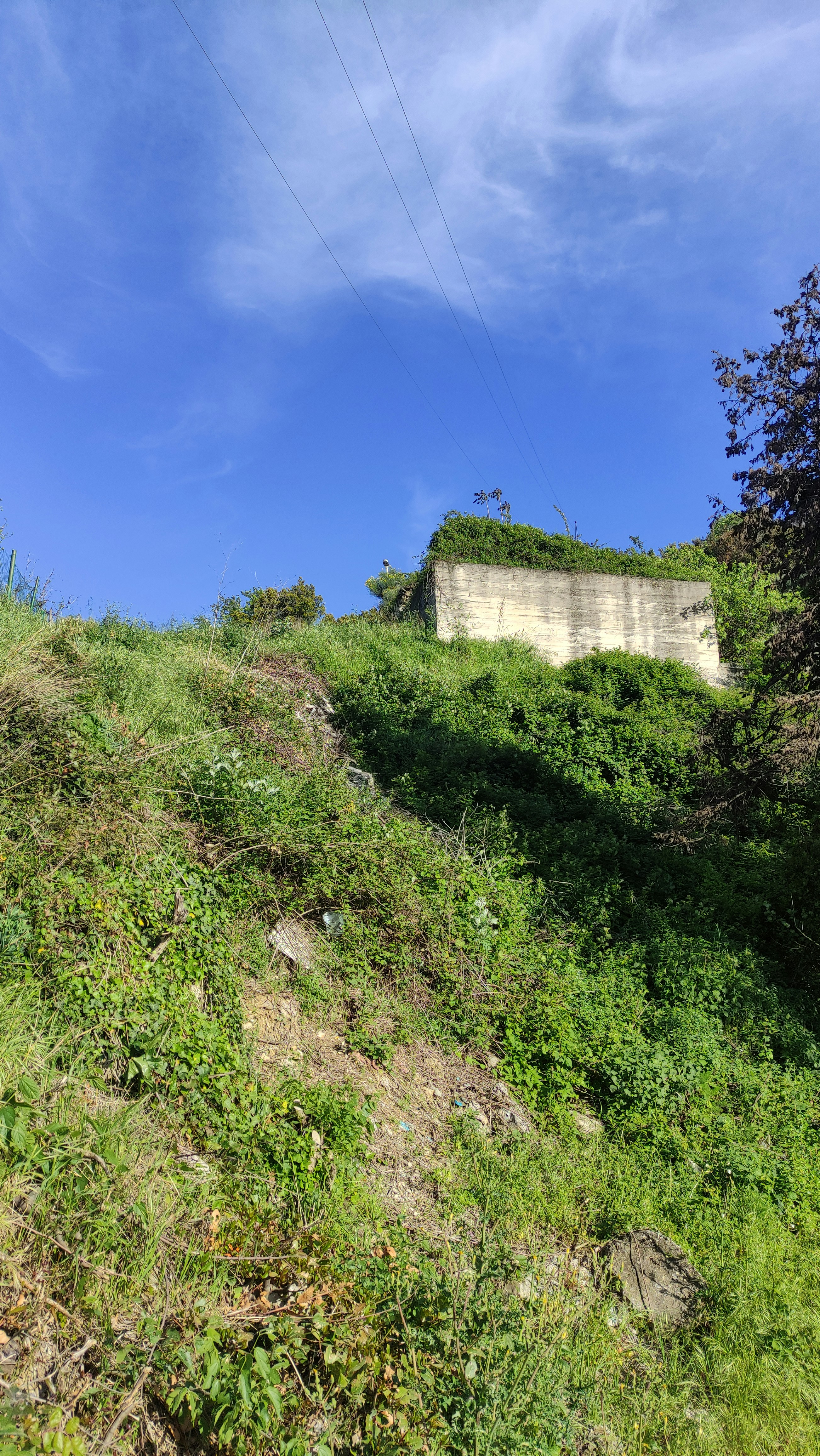 a hill with a bench on top of it