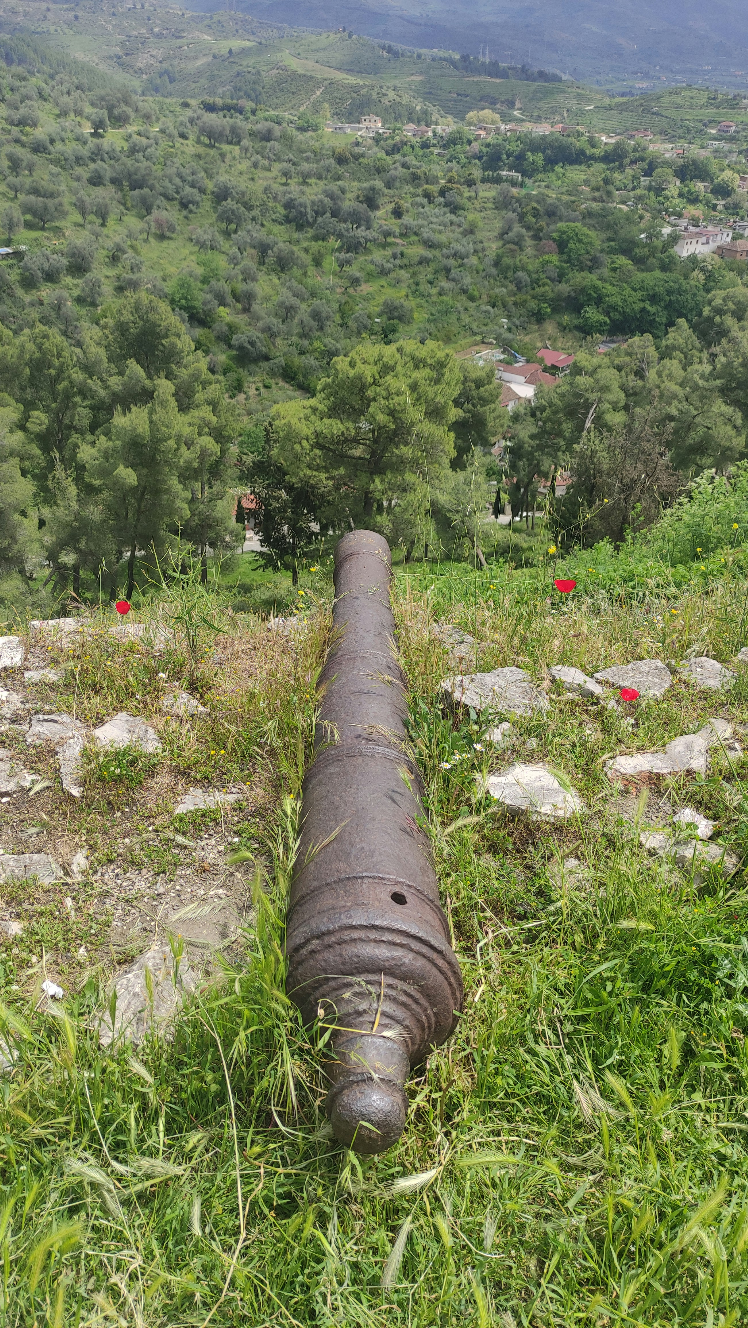 Timeworn Cannon Guards a Lush Hilltop Overlook