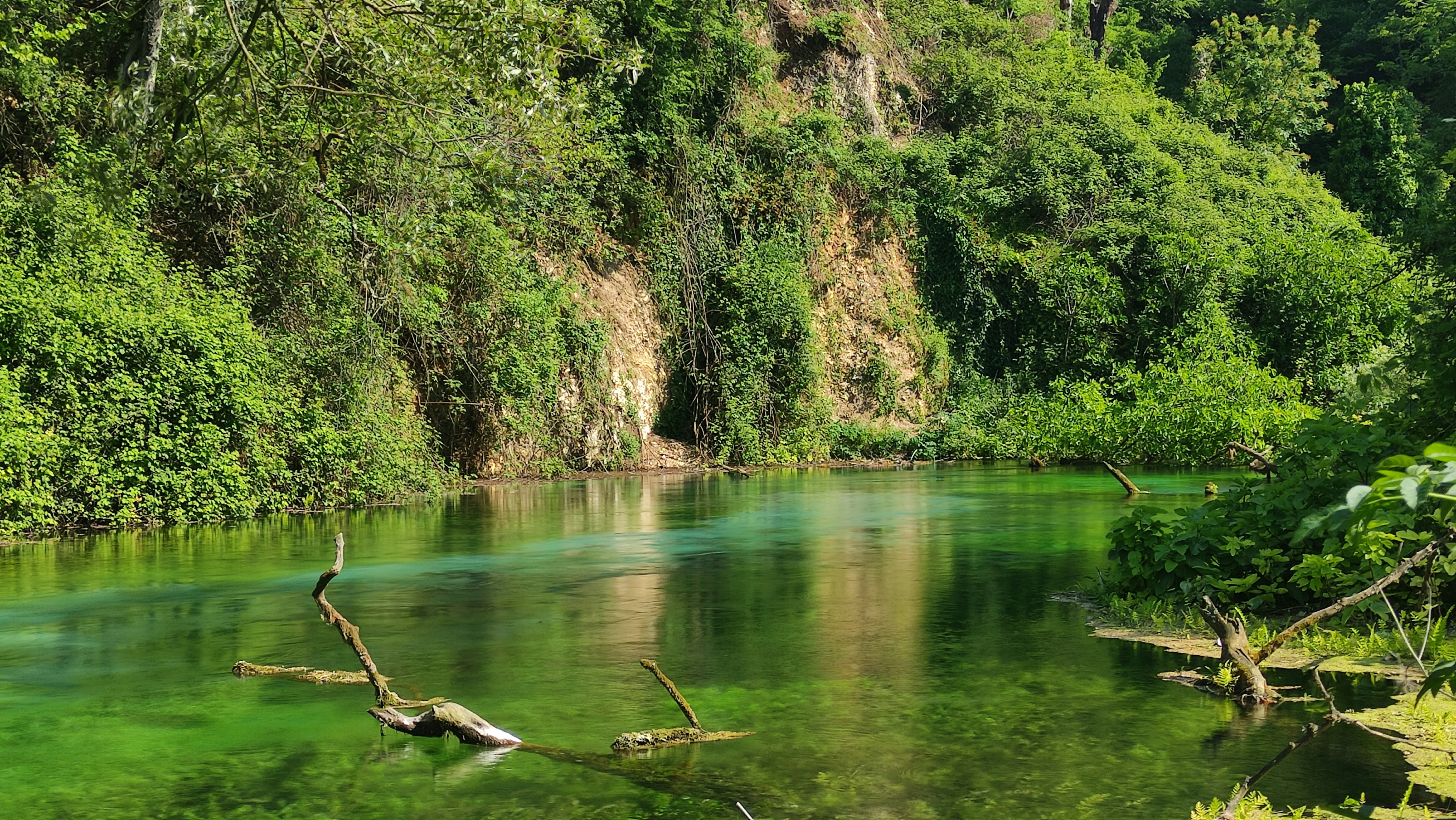 Source Pictures | Download Free Images on Unsplash