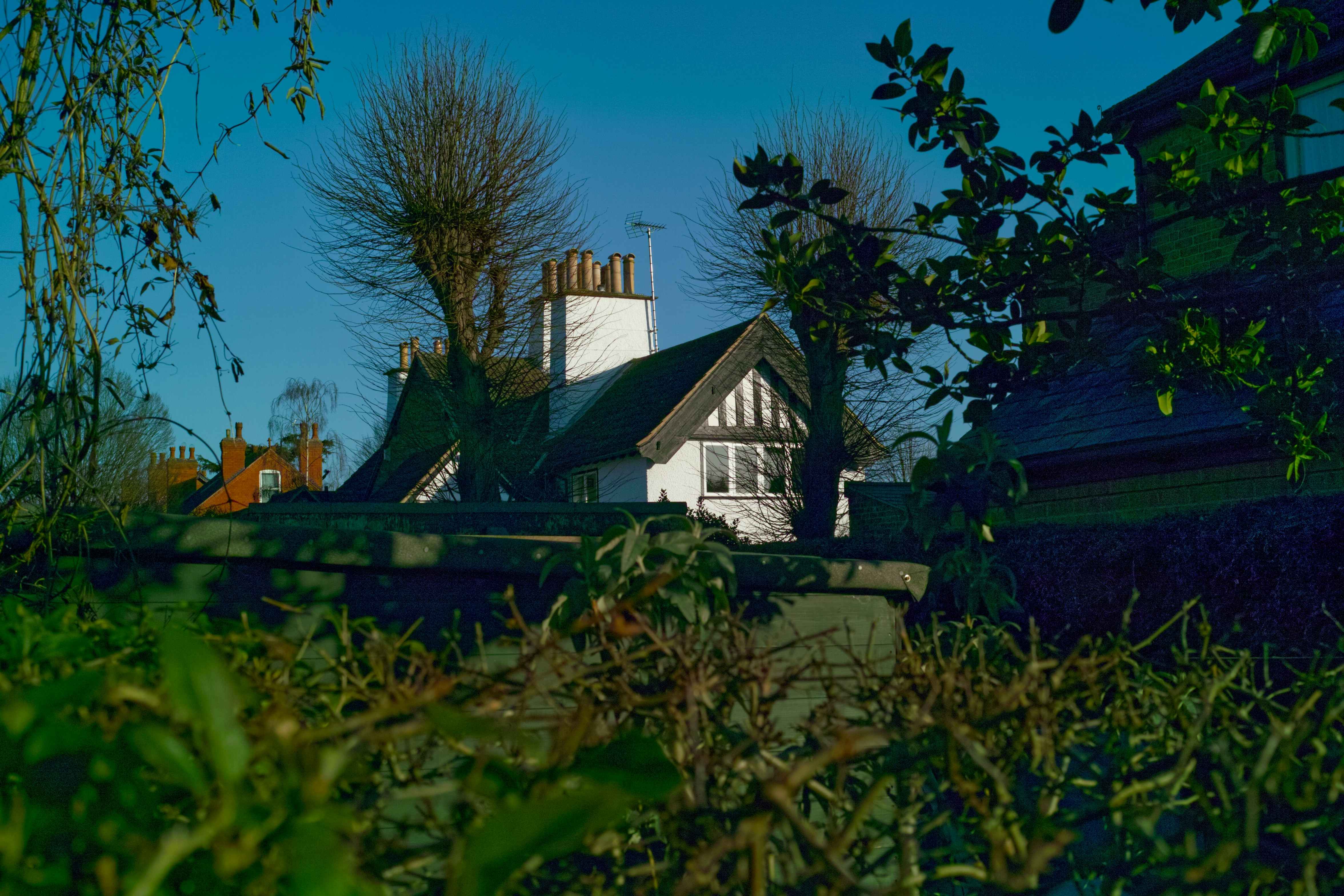 Charming house partially obscured by foliage, bathed in warm sunlight against a clear blue sky.