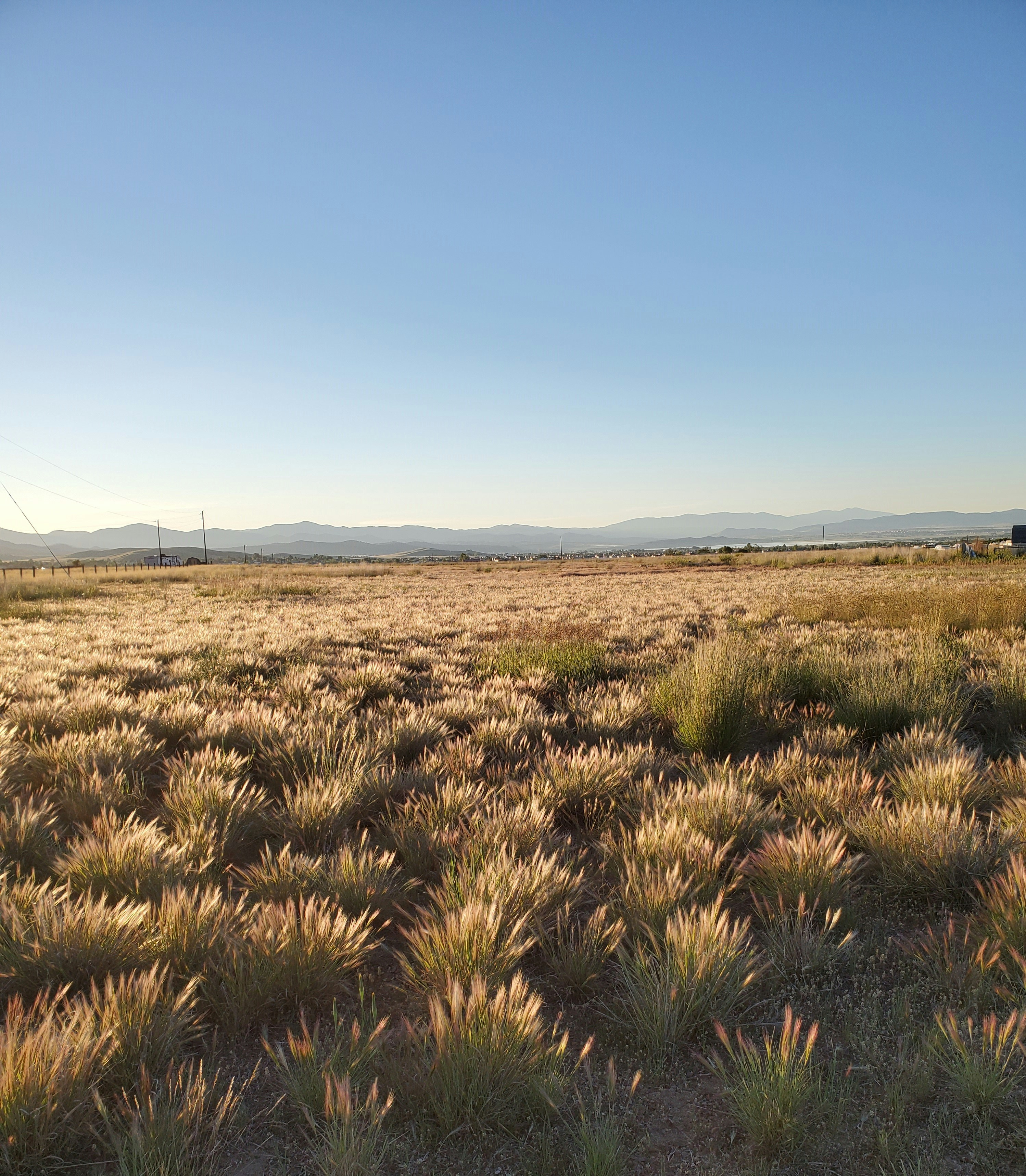 A large open field with a truck in the distance photo – Free Helena ...