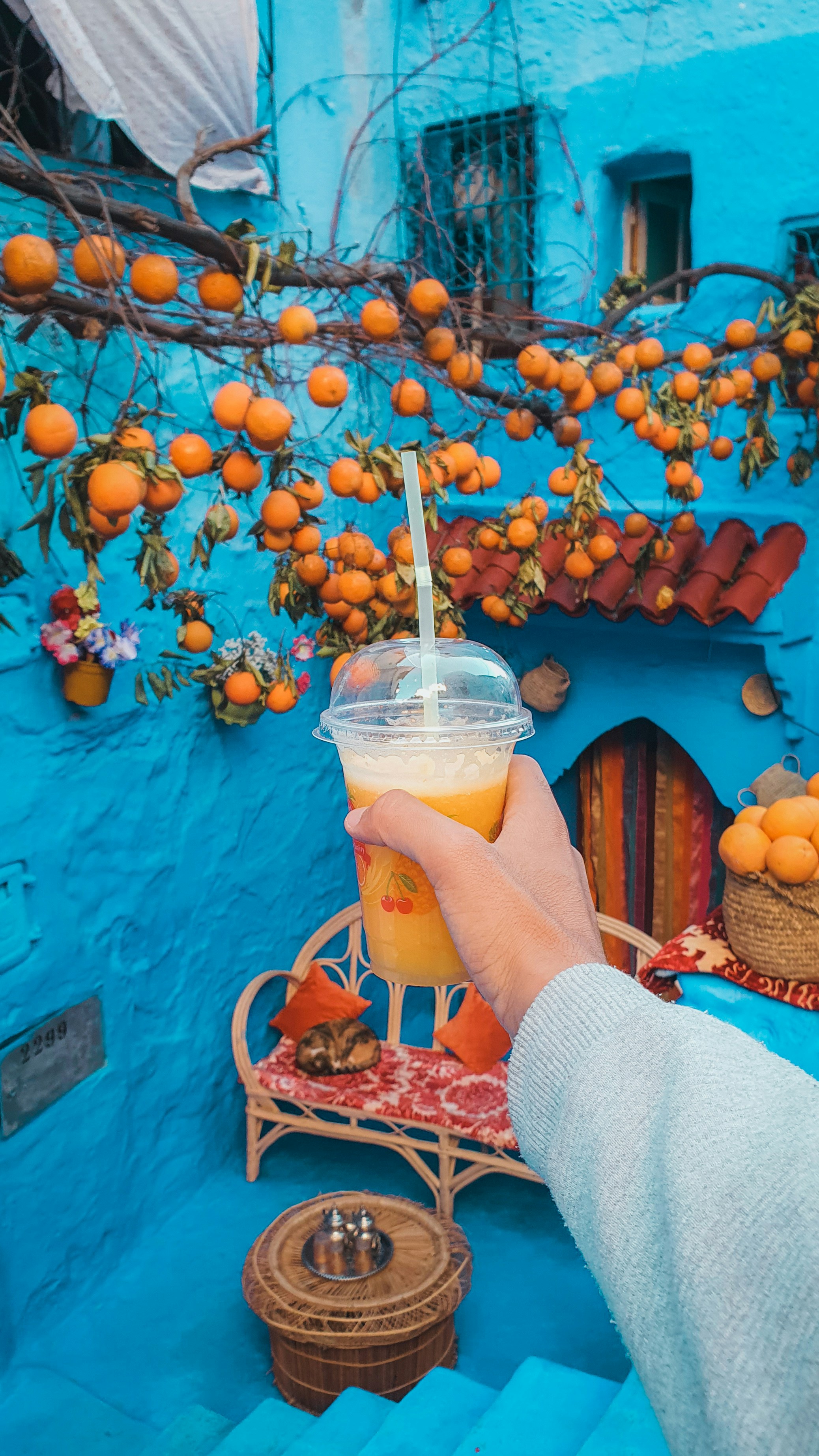A hand holds an orange smoothie cup in the foreground against a vibrant blue courtyard with orange fruit branches overhead.