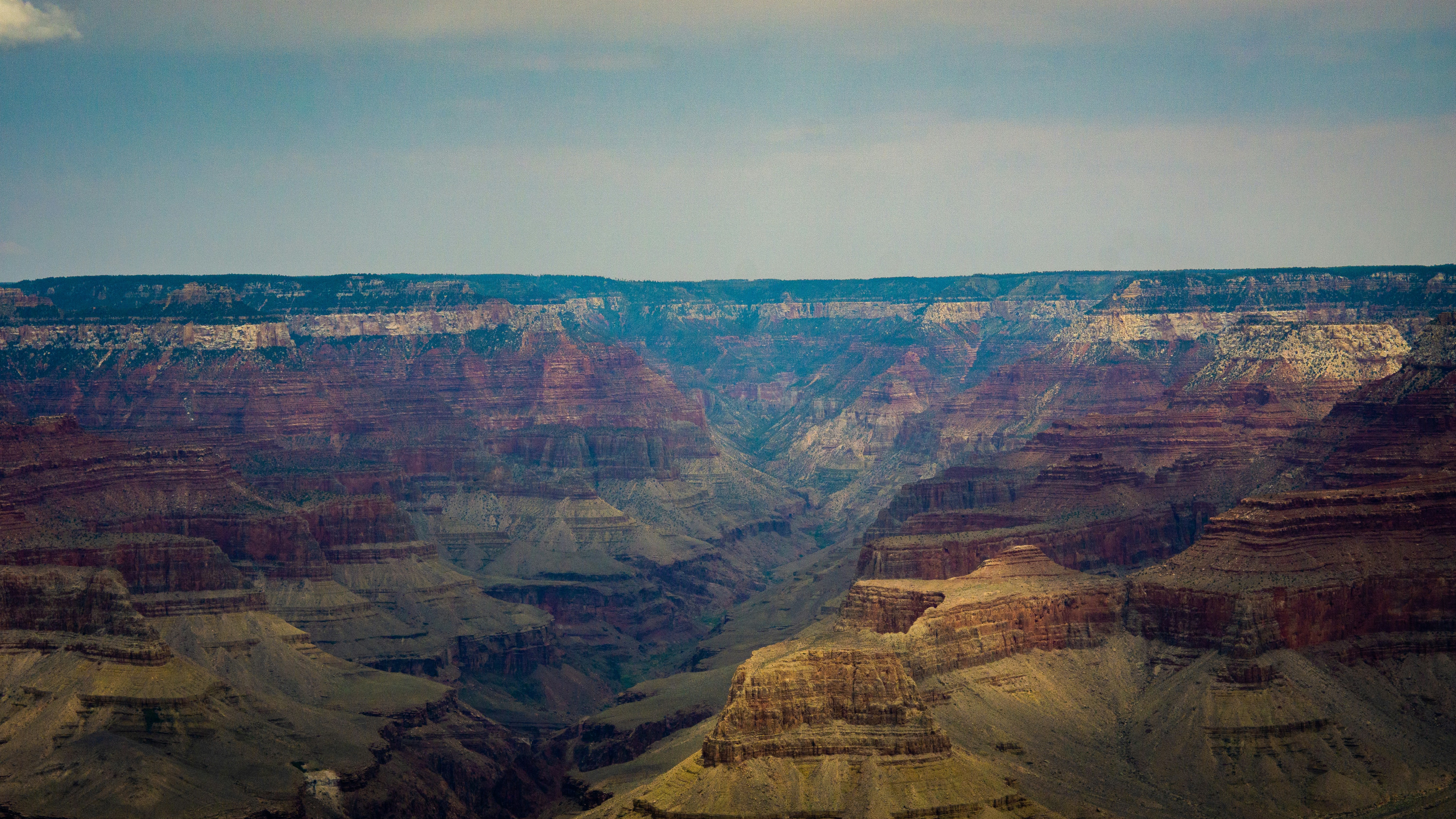 Photo by Steph Greene with Sony Alpha 6000