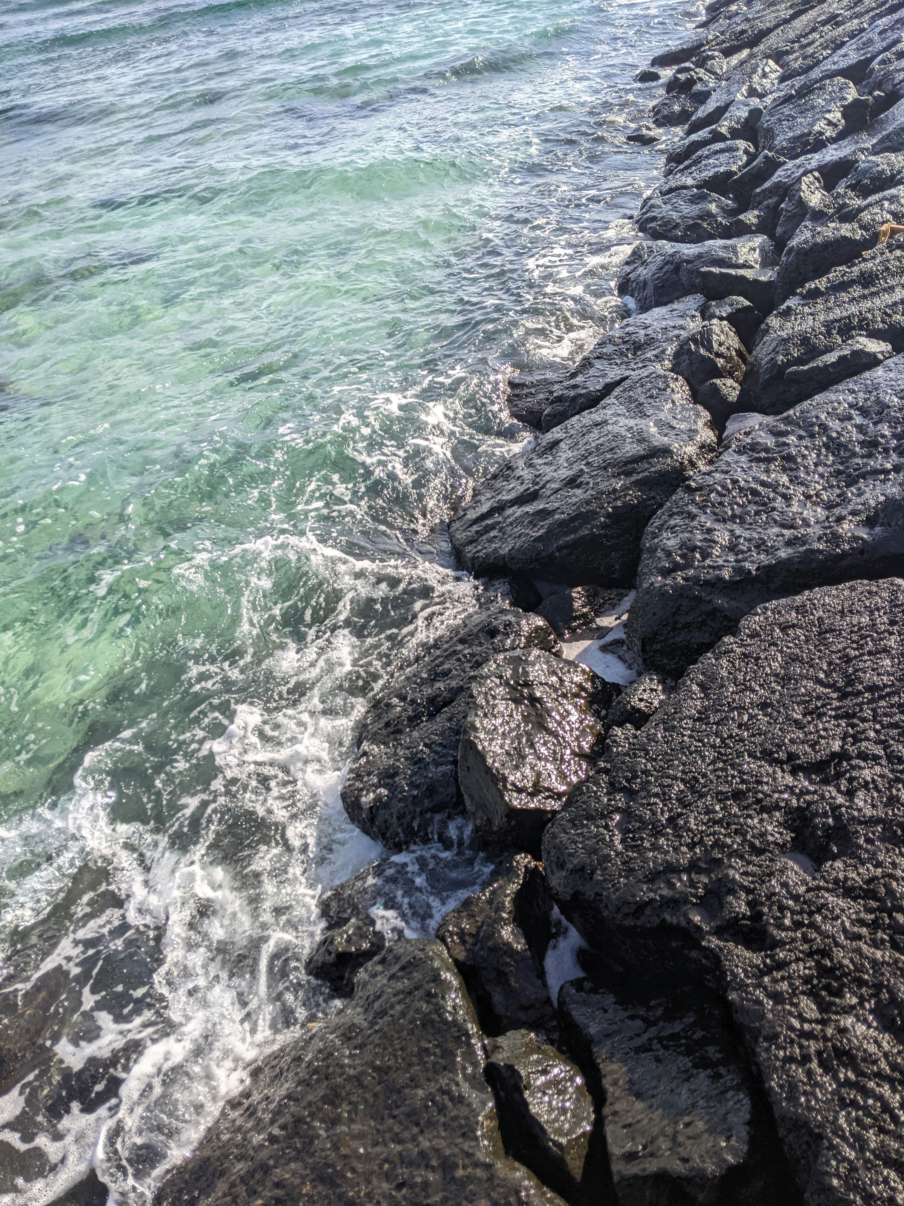 A long line of rocks next to a body of water photo – Free Rock Image on ...